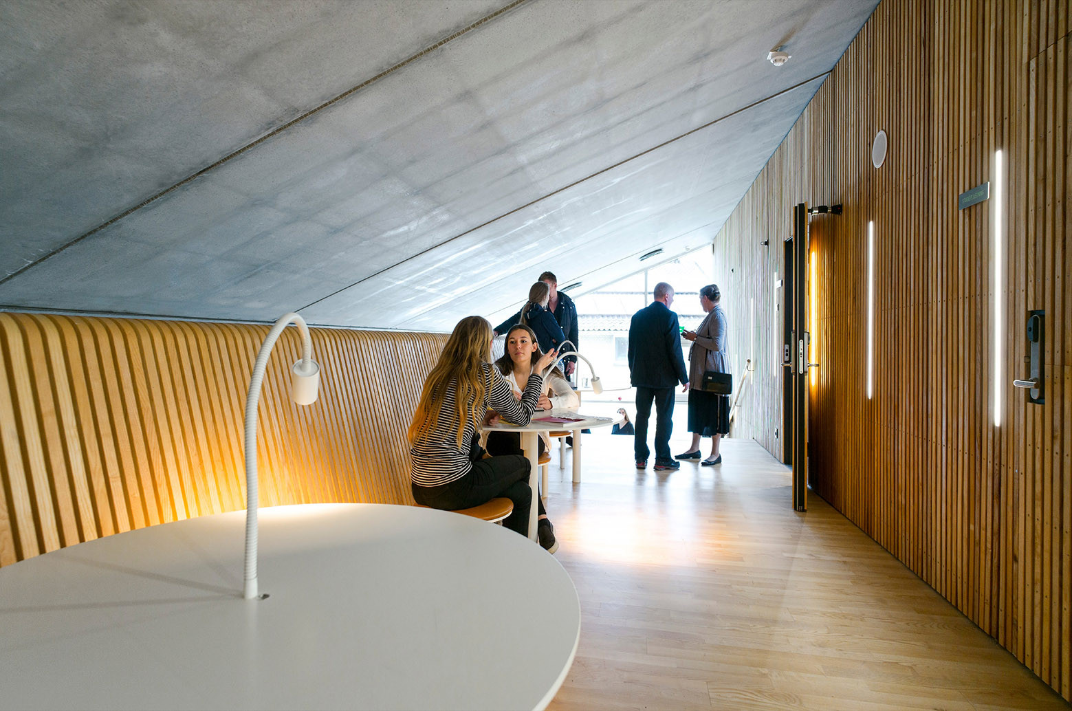 Gallery of Sports & Arts Expansion at Gammel Hellerup Gymnasium / BIG - 25