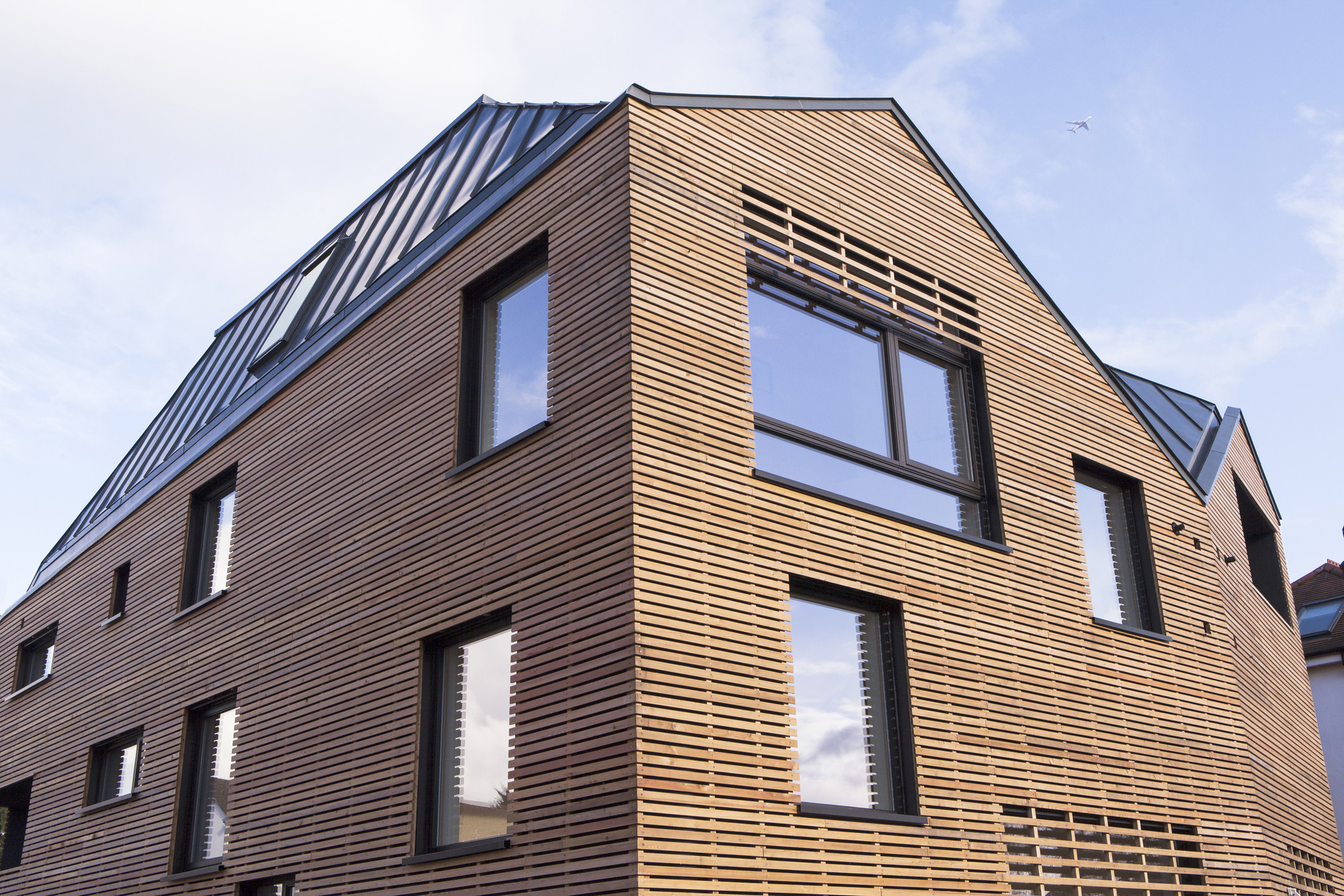 Gallery of Mazarin / Arboreal Architecture - 10