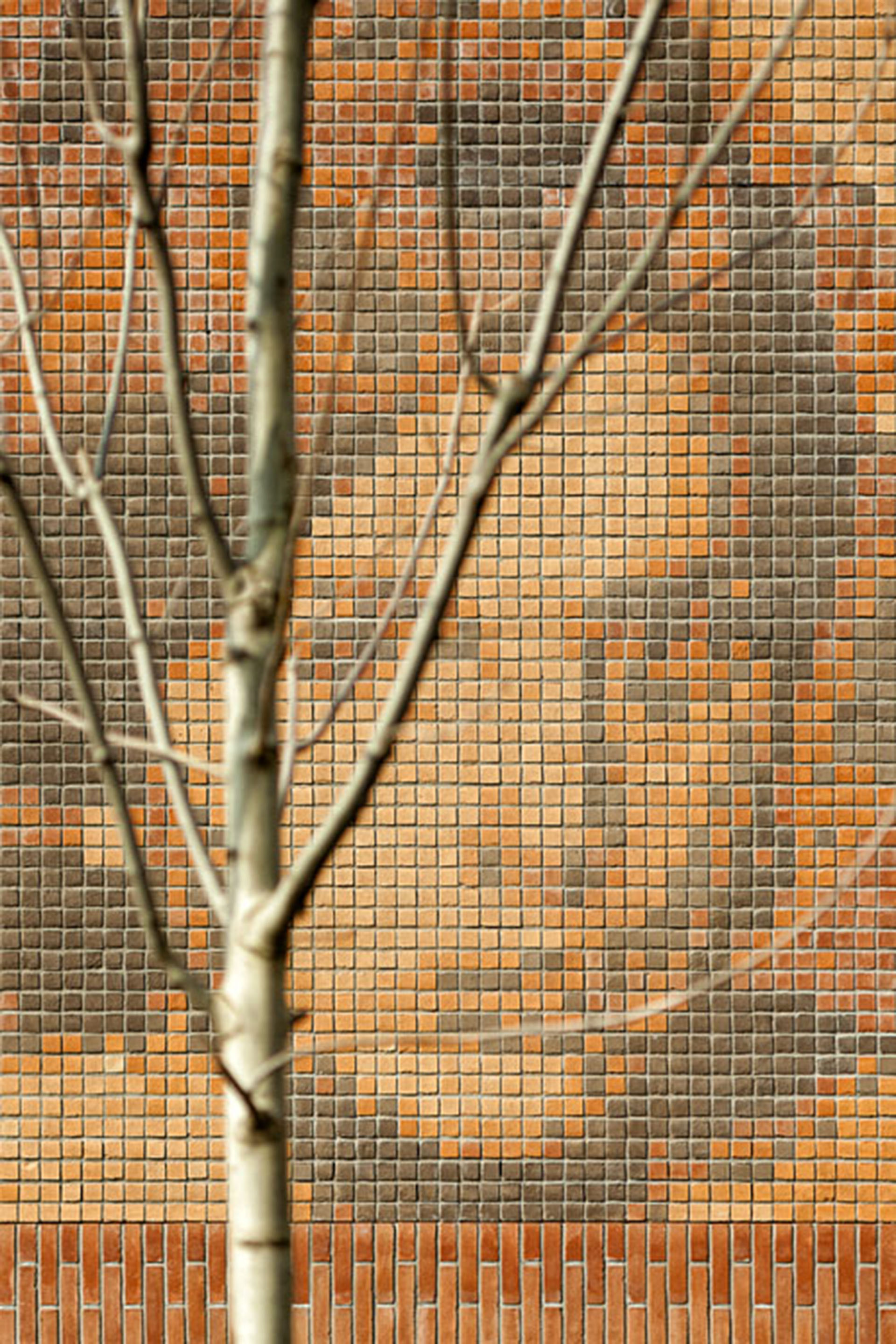 Galería de Casa de la memoria / baukuh - 4