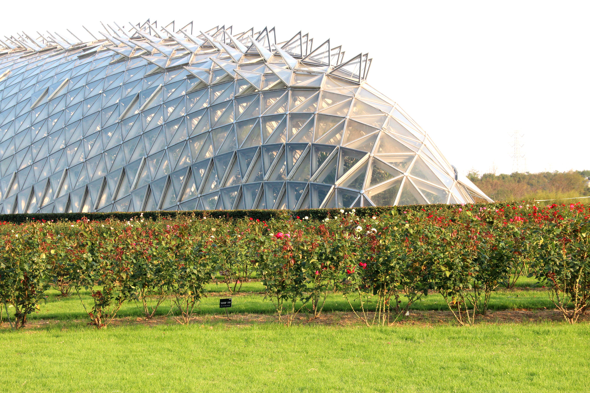 Galería de Paisaje y Arquitectura: Jardín Botánico de Chenshan, un ...