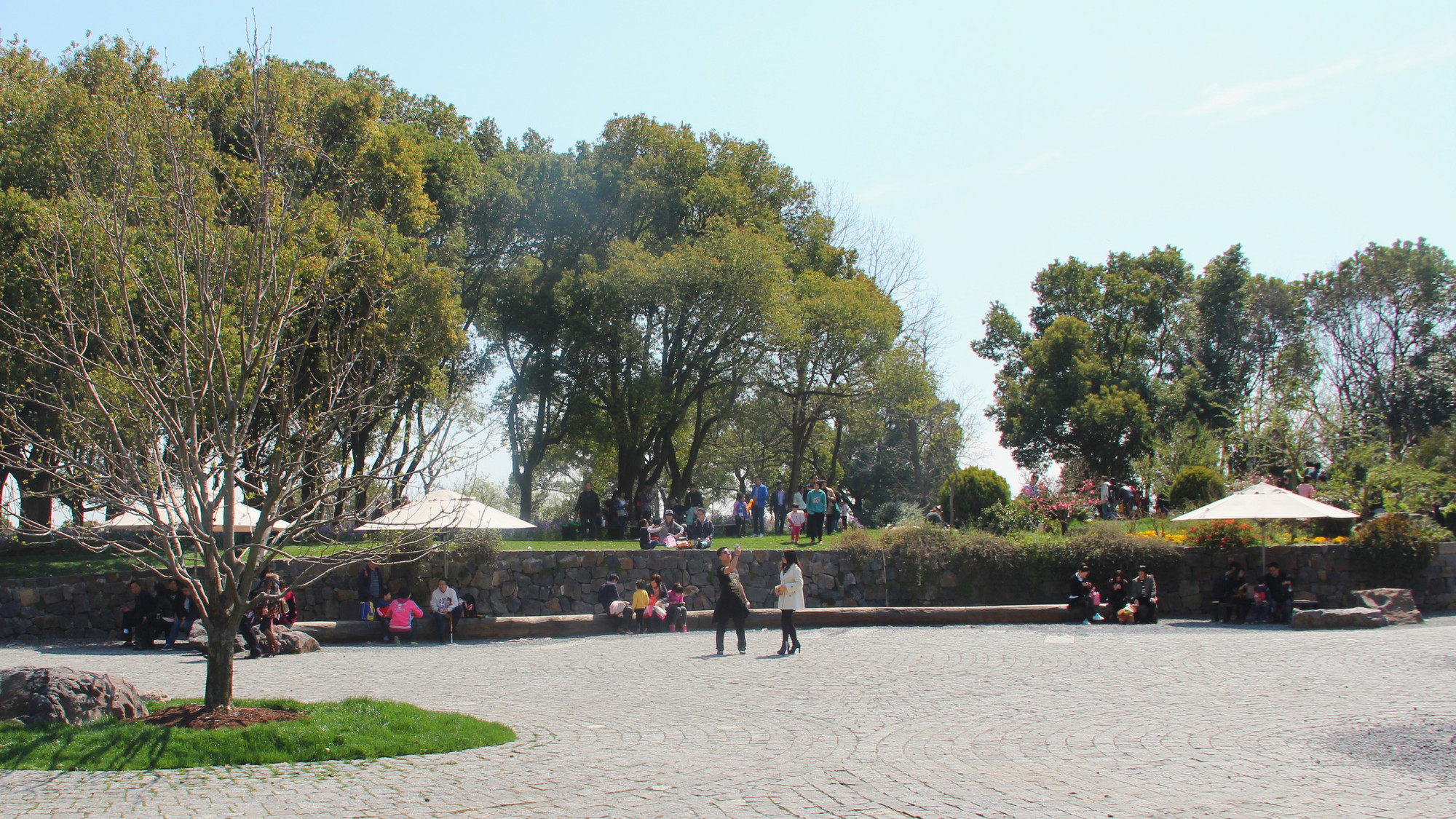 Galería de Paisaje y Arquitectura: Jardín Botánico de Chenshan, un ...