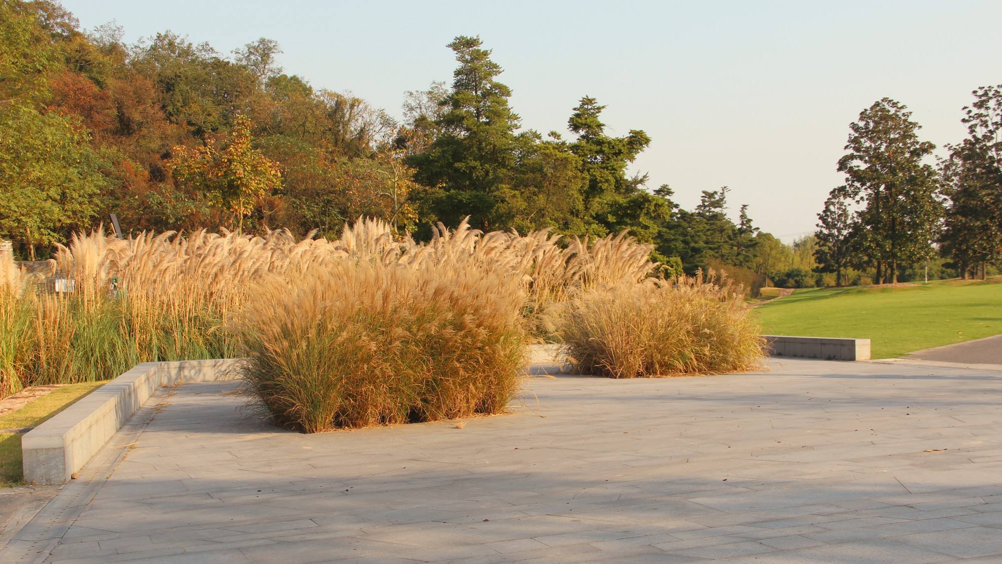 Galería de Paisaje y Arquitectura: Jardín Botánico de Chenshan, un ...