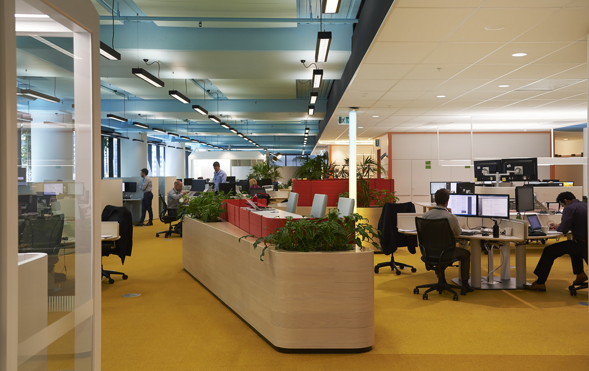 Gallery of Medibank / HASSELL - 5