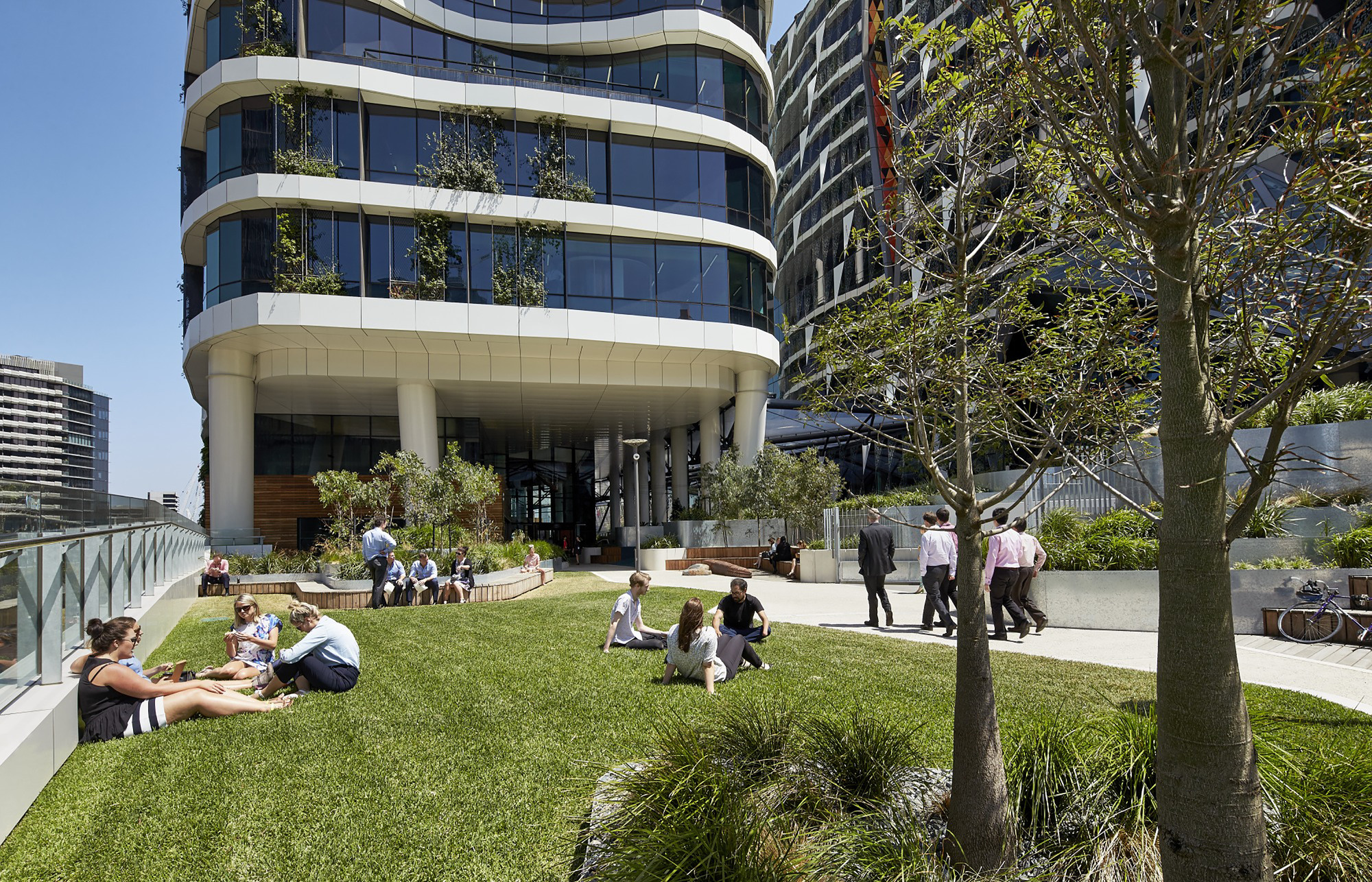 Gallery of Medibank / HASSELL - 9