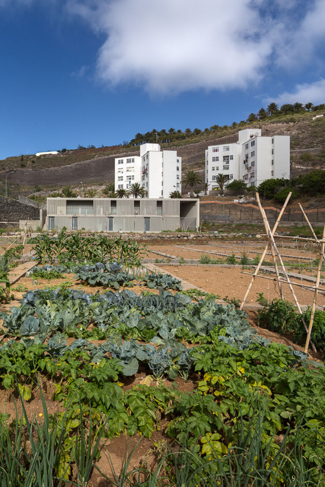 Gallery of El Lasso Community Center / Romera y Ruiz Arquitectos - 8