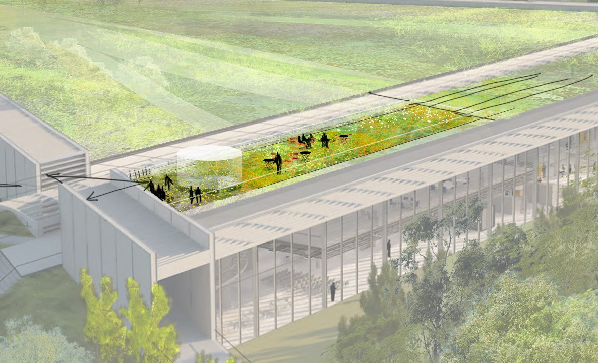 Gallery of RSHP Wins Competition to Build Conservation Facility for ...