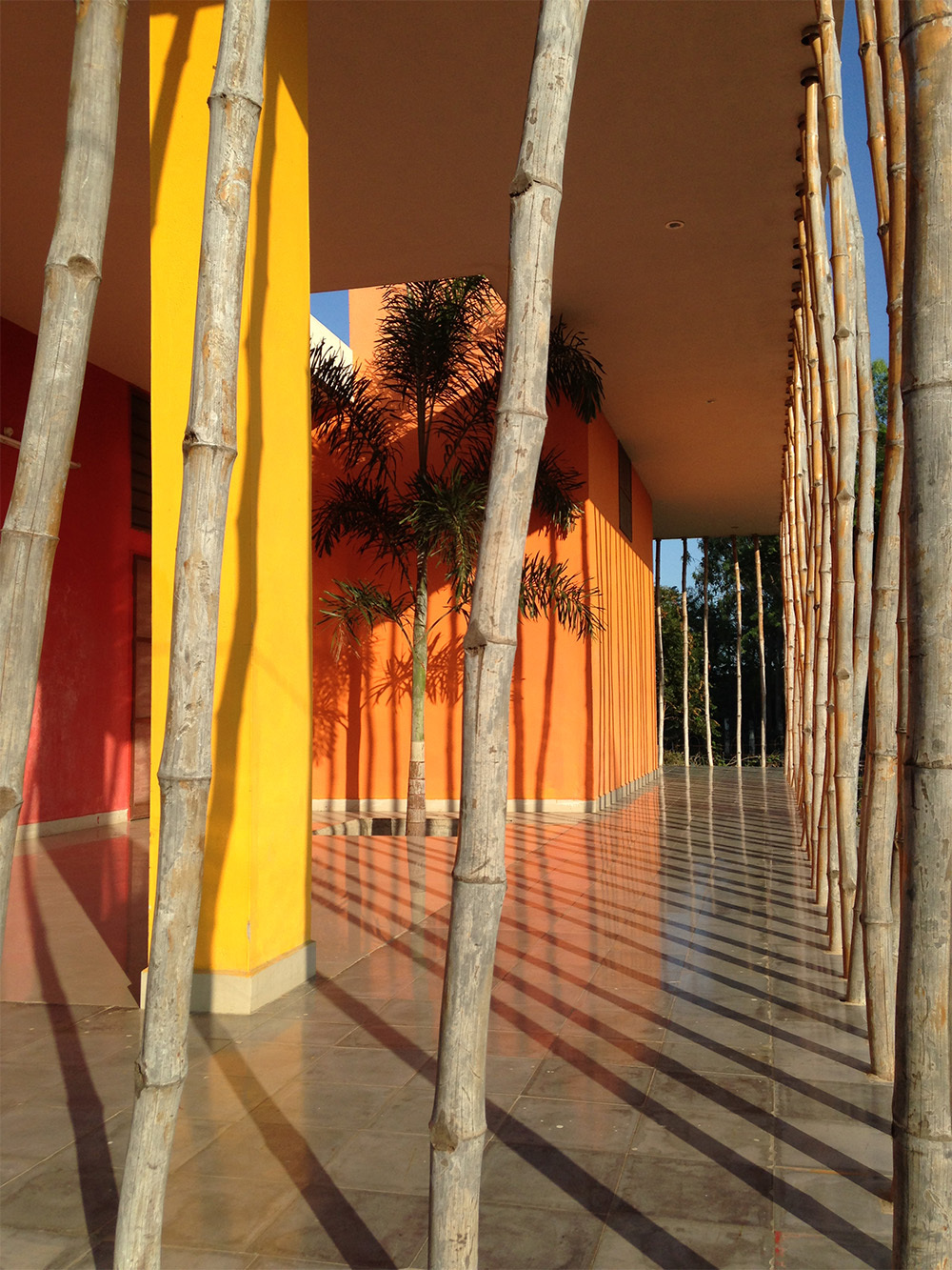 Gallery of Rana House / Made in Earth - 5