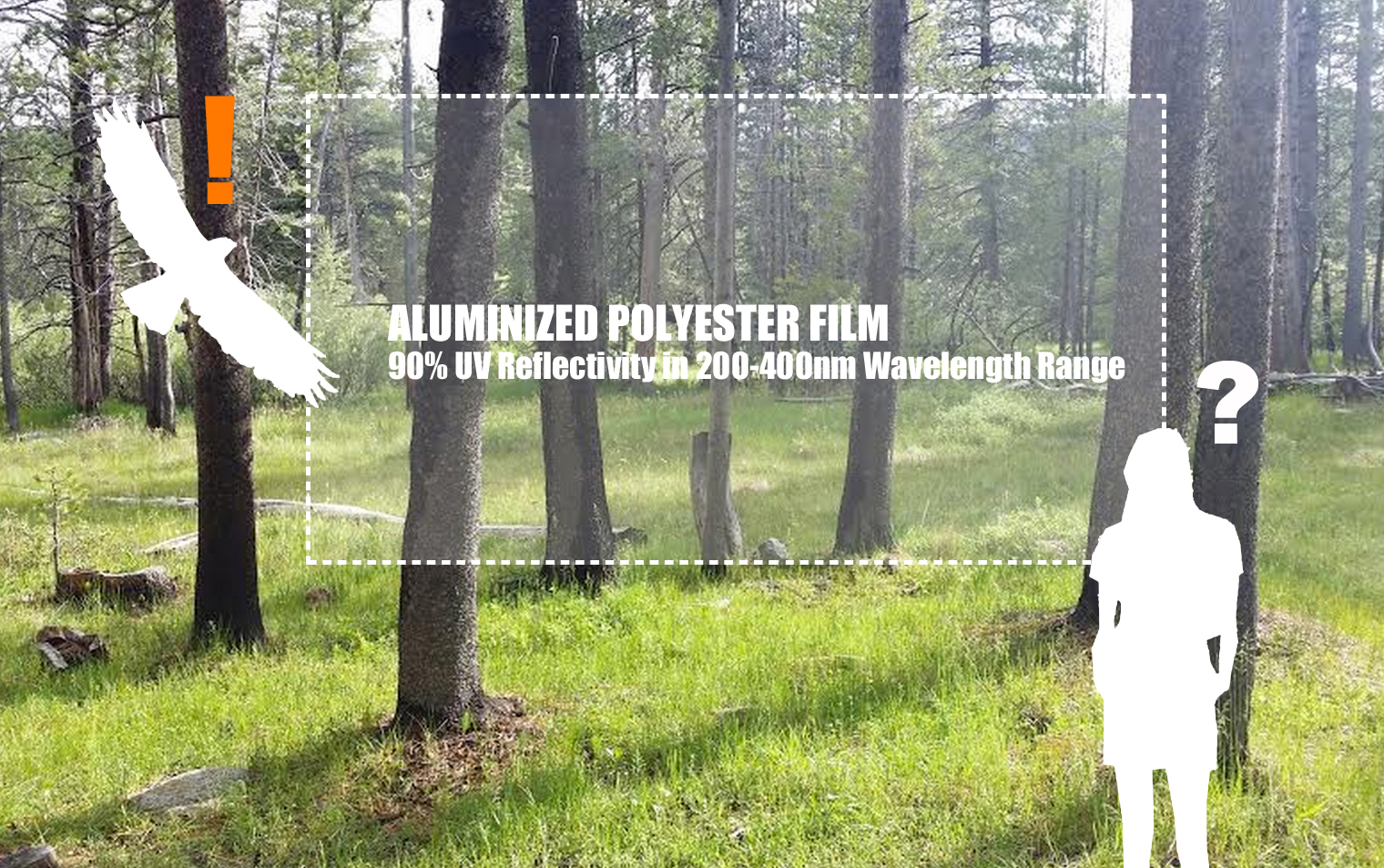 Gallery of Invisible Barn / stpmj - 22