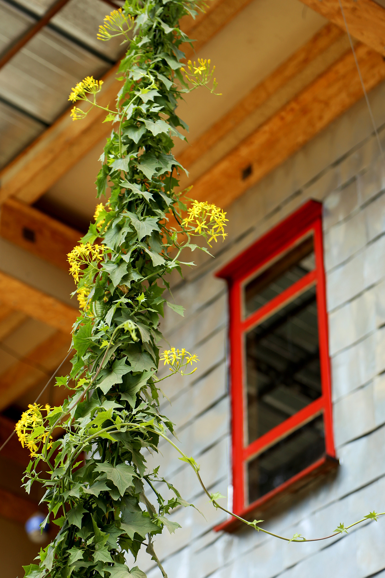 Gallery of 3 Experimental Homes Address Hyper-Urbanization in Africa - 3