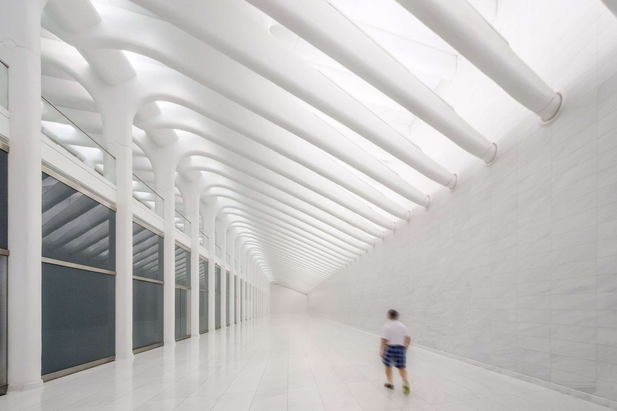 Gallery of Inside Santiago Calatrava's WTC Transportation Hub in New ...