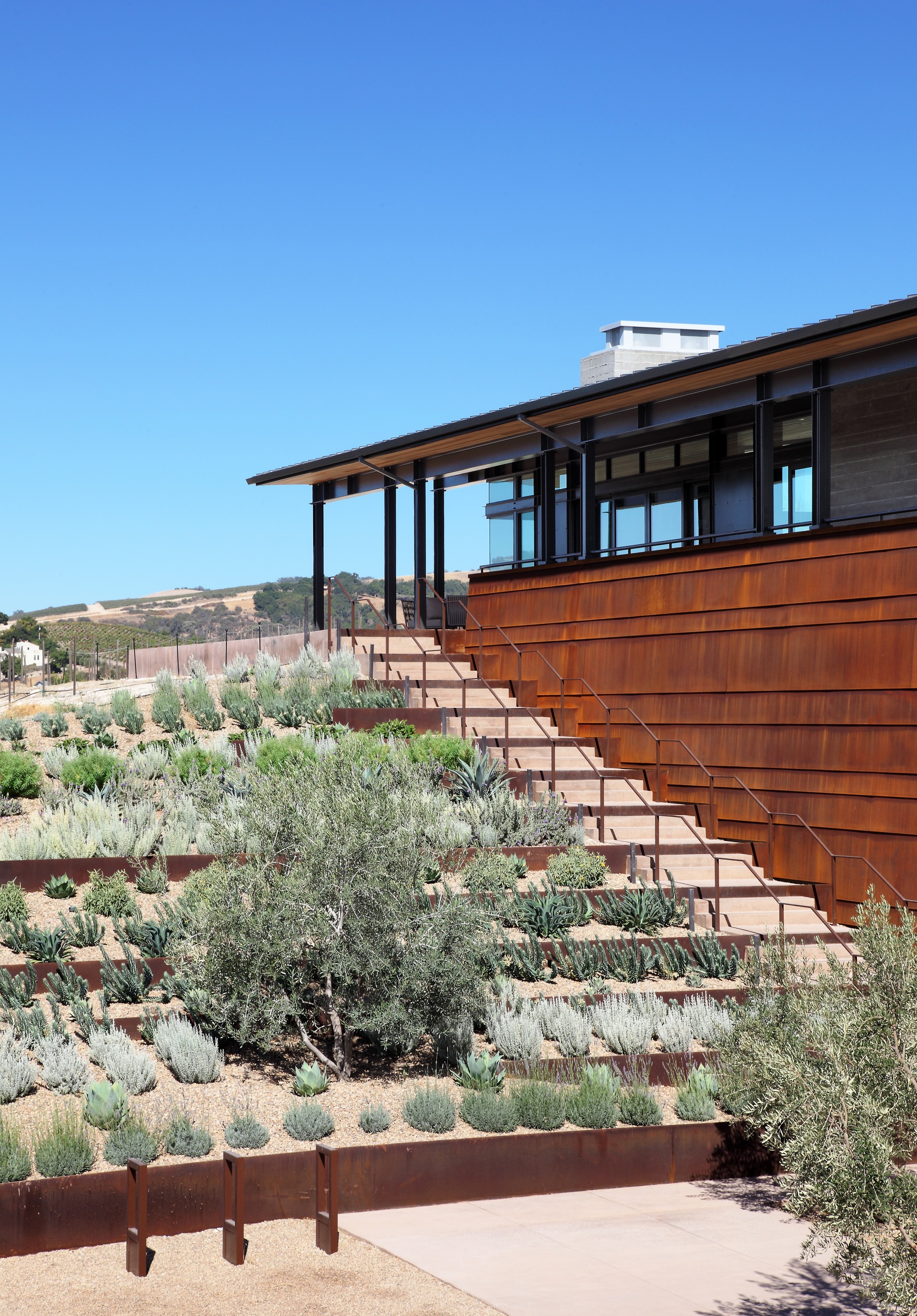 Galeria de Adega Law / BAR Architects - 18