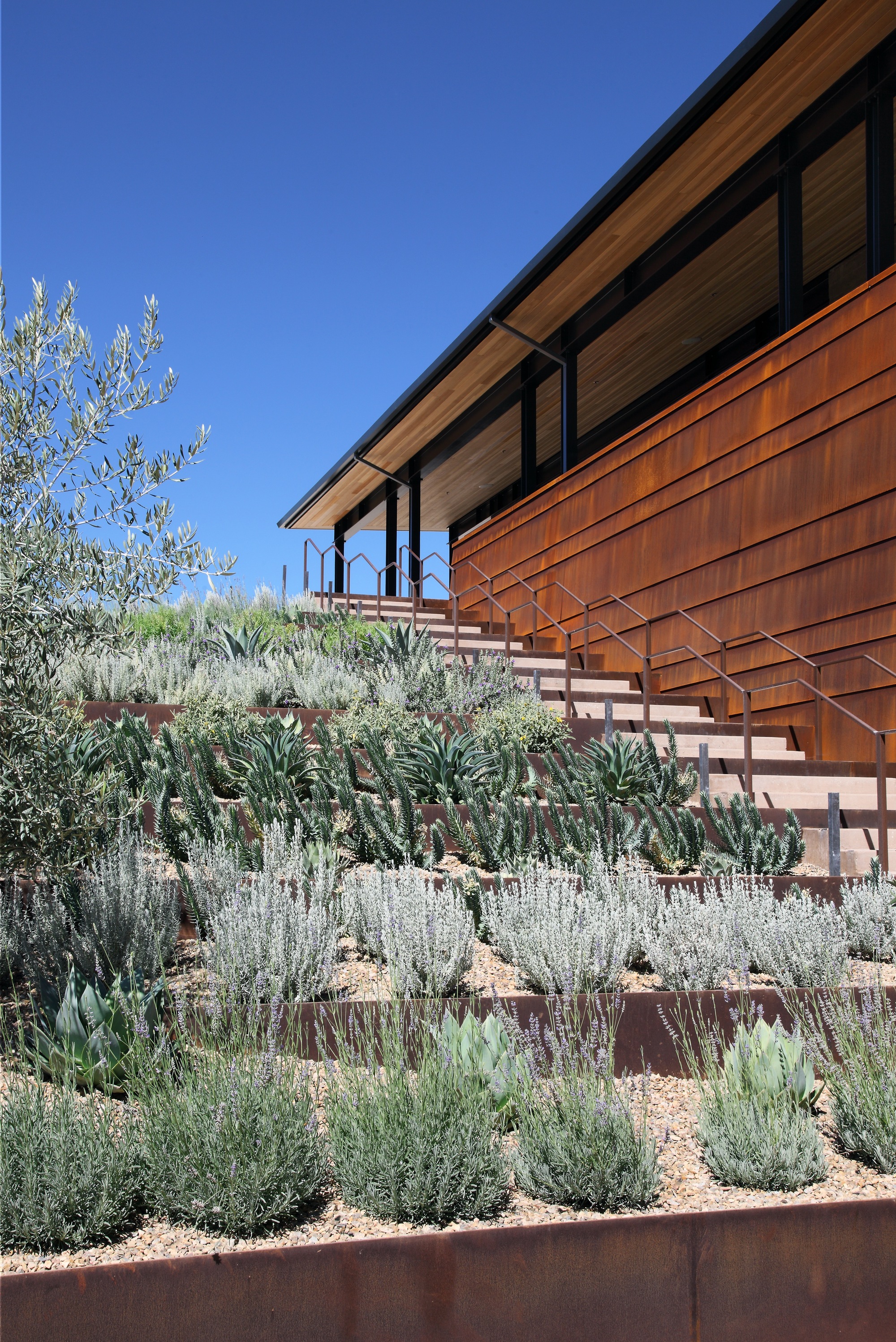 Galería de Viña Law / BAR Architects - 19