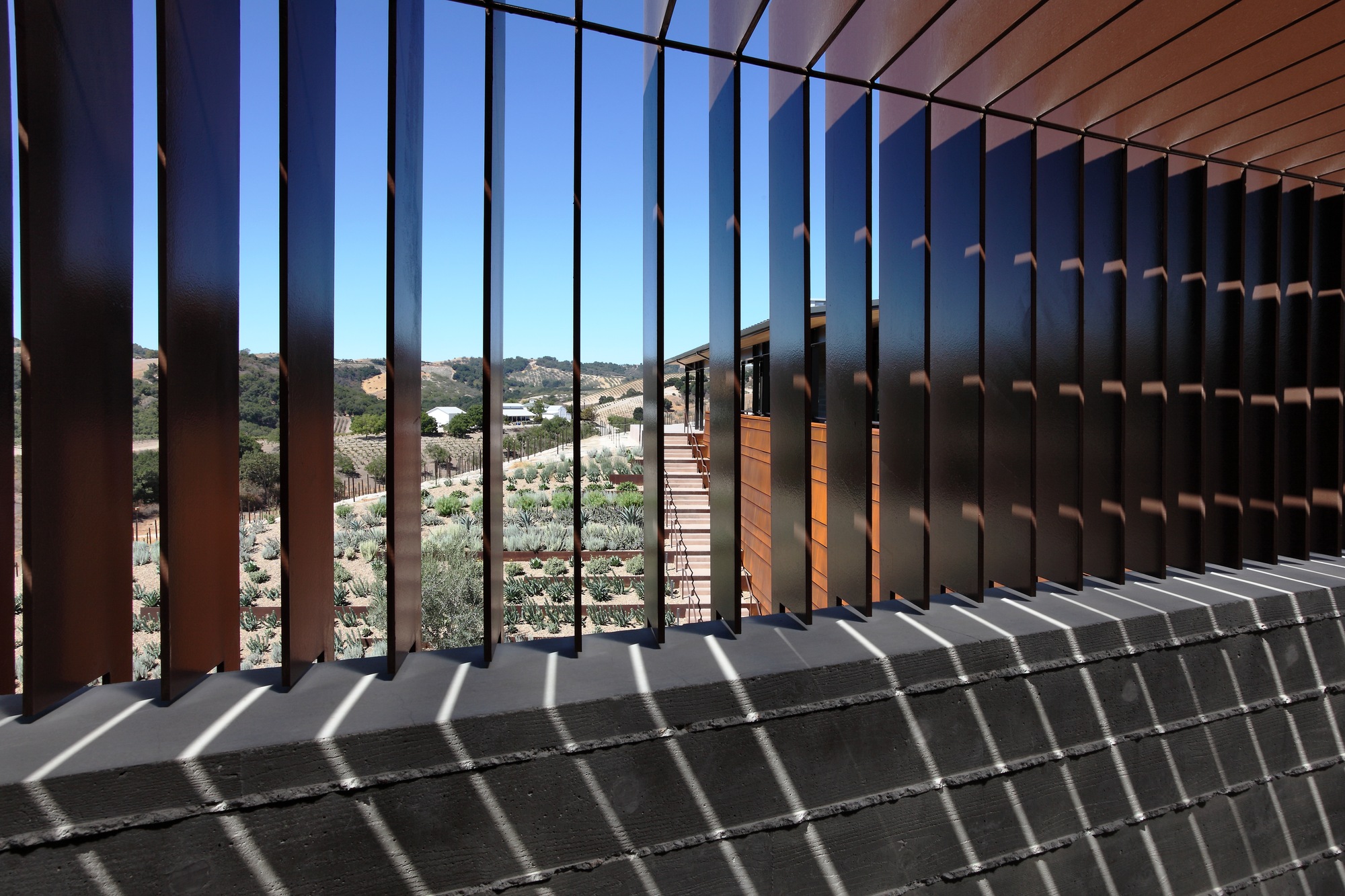 Galeria de Adega Law / BAR Architects - 3