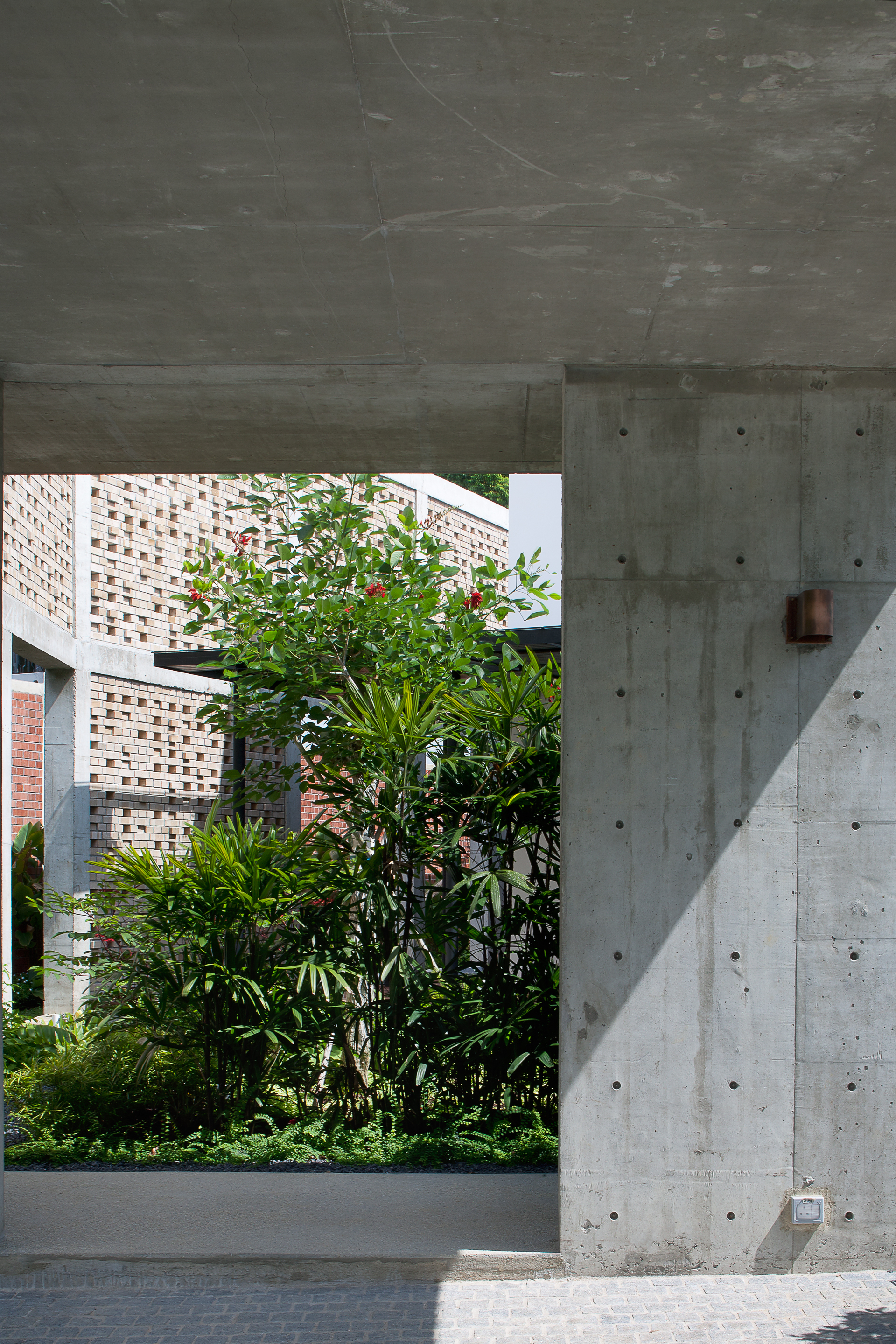 Gallery of 3 Lermit Road / ipli architects - 8