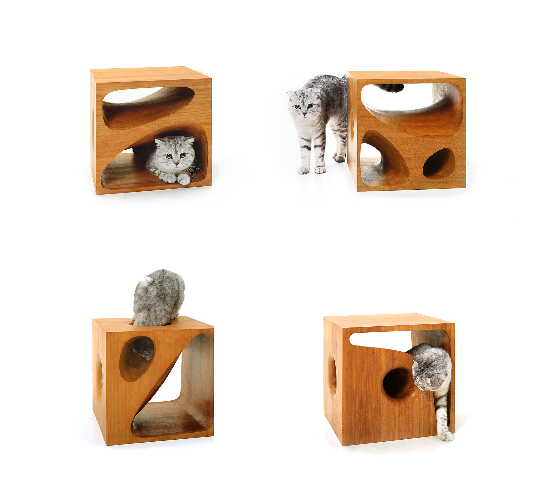 Gallery of LYCS's Modular CATable 2.0 is Purrfect for Feline Roommates - 7