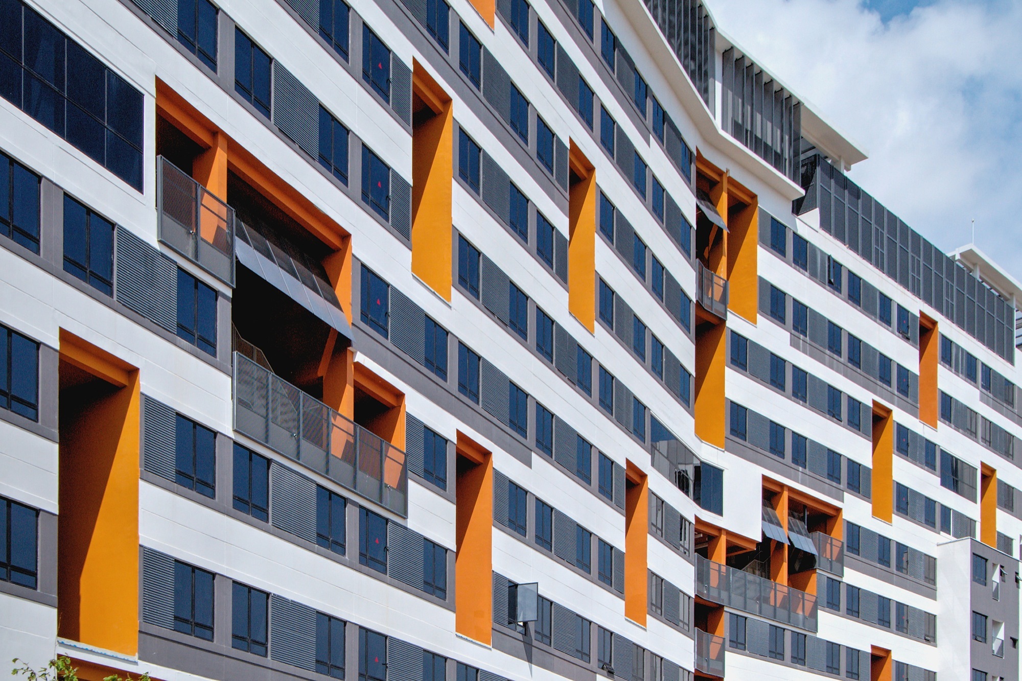 画廊 SUTD 新加坡科技设计大学 住宅和运动设施 / LOOK Architects + Surbana International ...