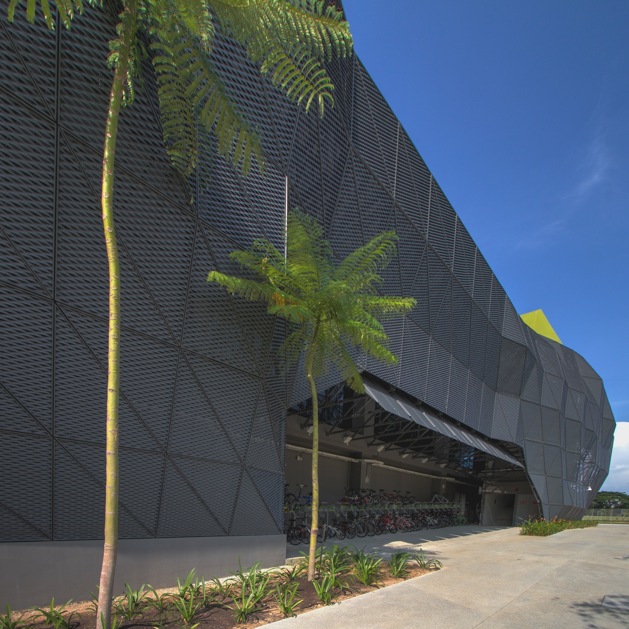 Gallery of SUTD Housing and Sports / LOOK Architects + Surbana ...