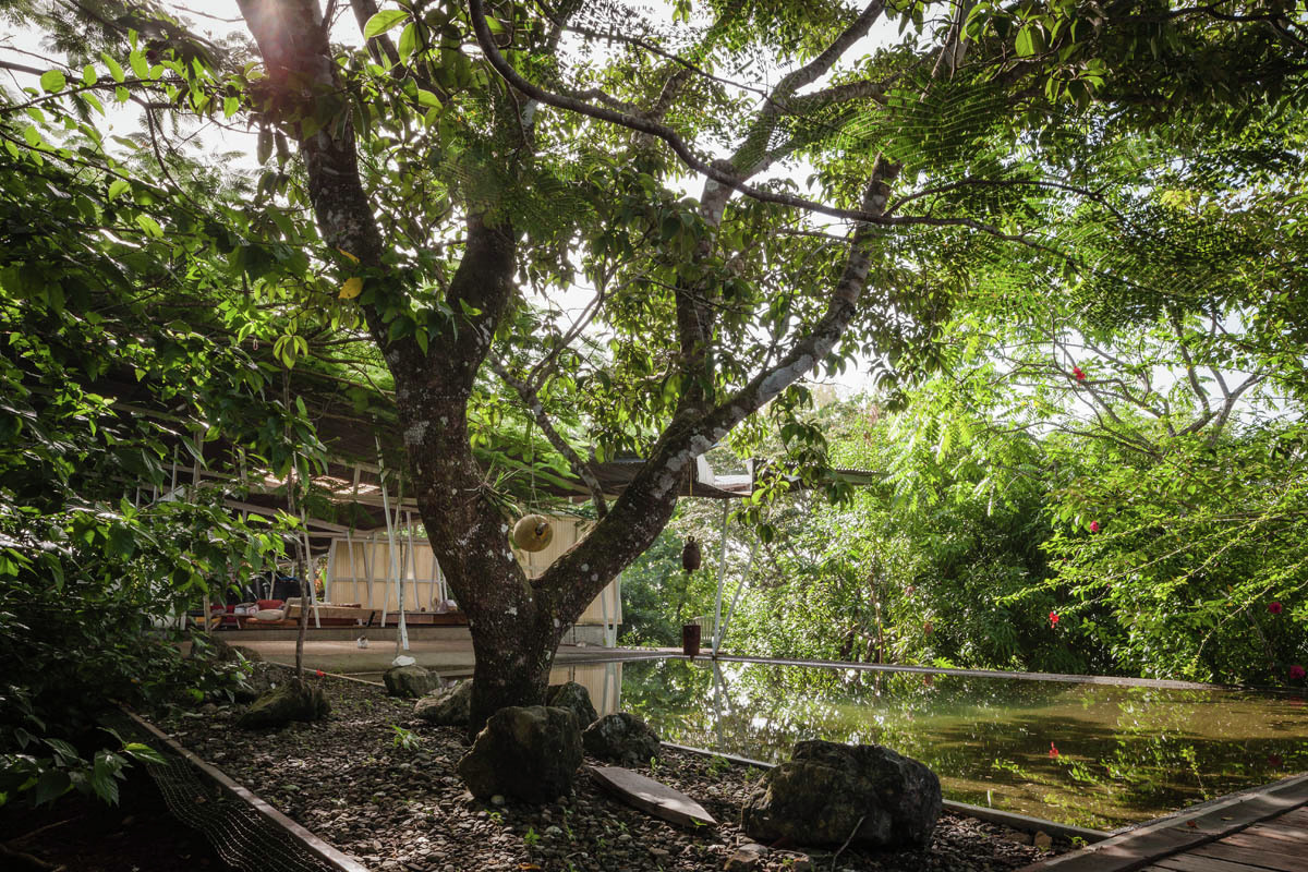 Gallery of SaLo House / Patrick Dillon - 15