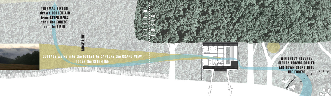 Gallery of Fallingwater On-Site Cottages Competition proposal / Wendell ...