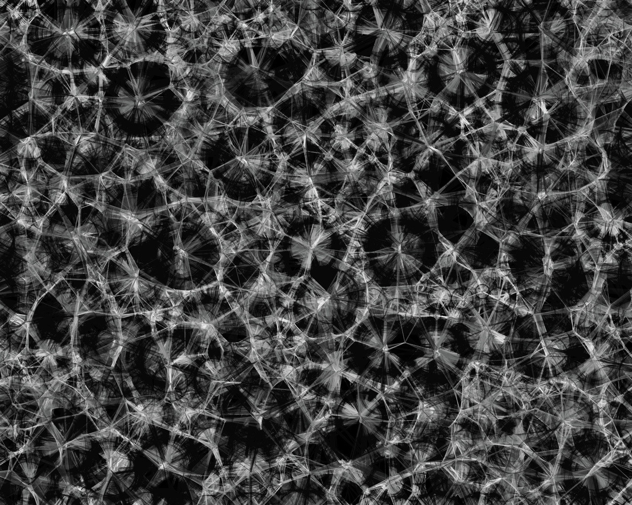 Gallery of SFMoMA presents "Field Conditions" - 7