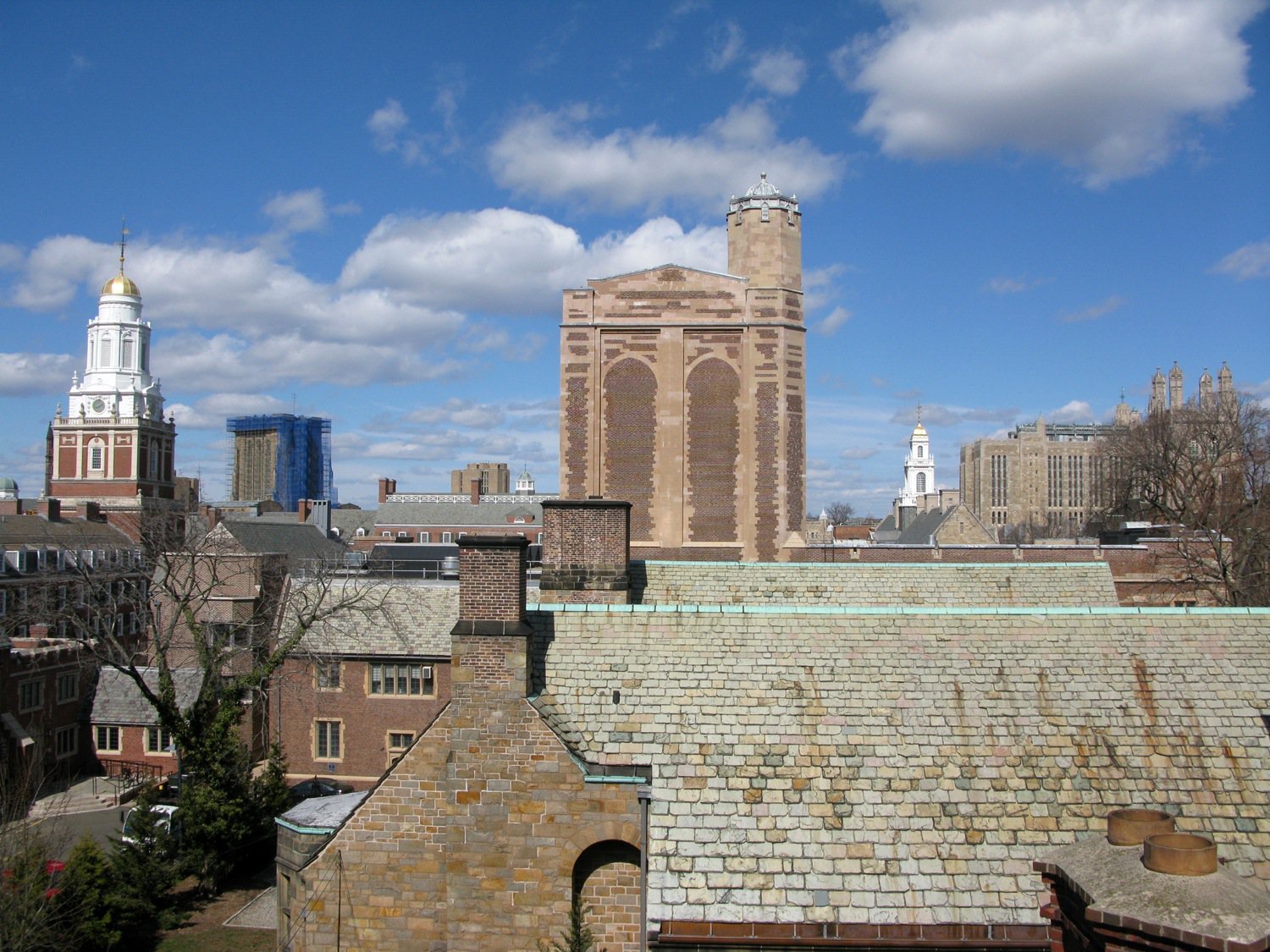 Gallery of 5 Projects: Interview 1 / Mark Talbot - 16