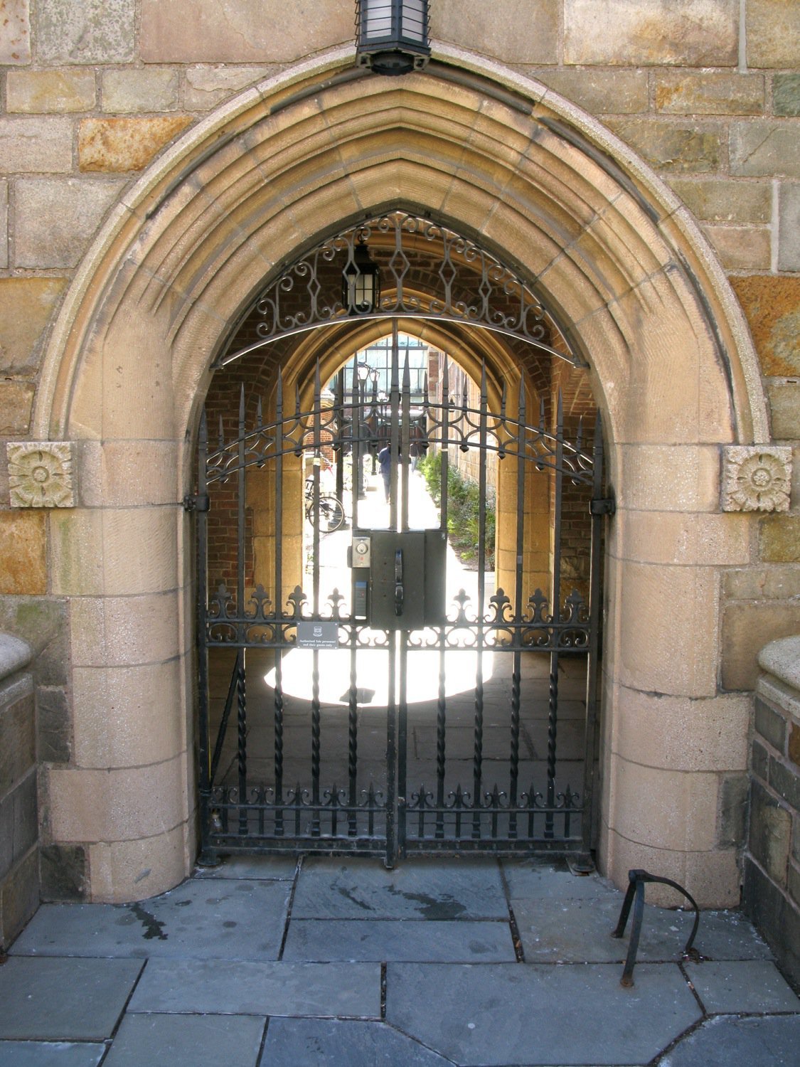 Gallery of 5 Projects: Interview 1 / Mark Talbot - 6