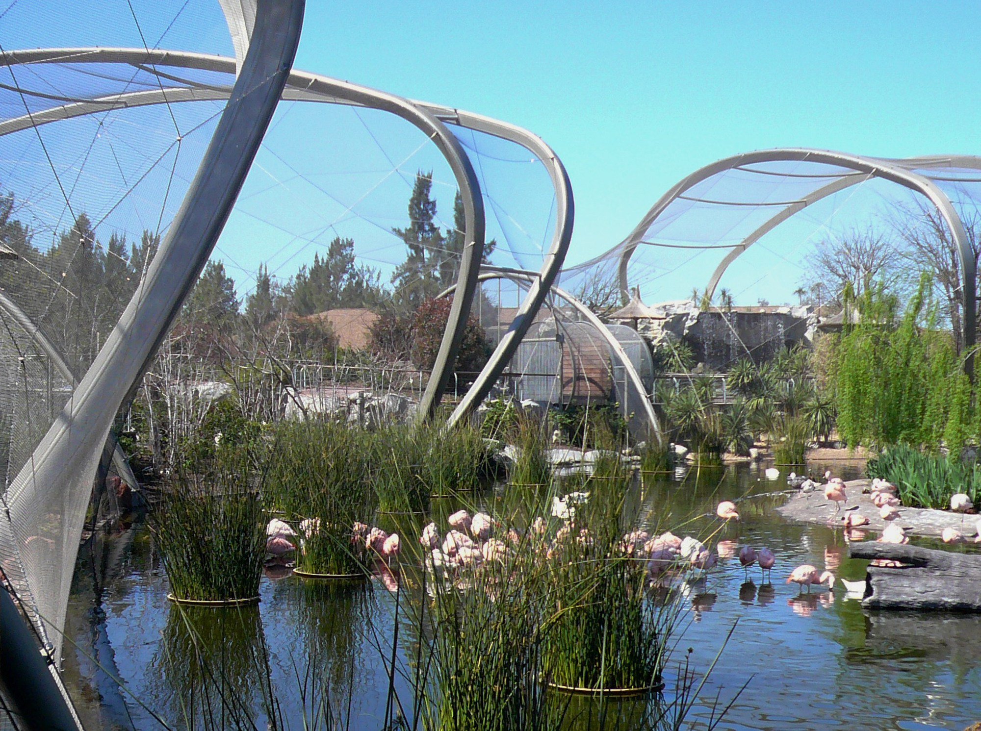 Galería de Lugar de las Aves - Bioparque Temaikén / Hampton+Rivoira ...