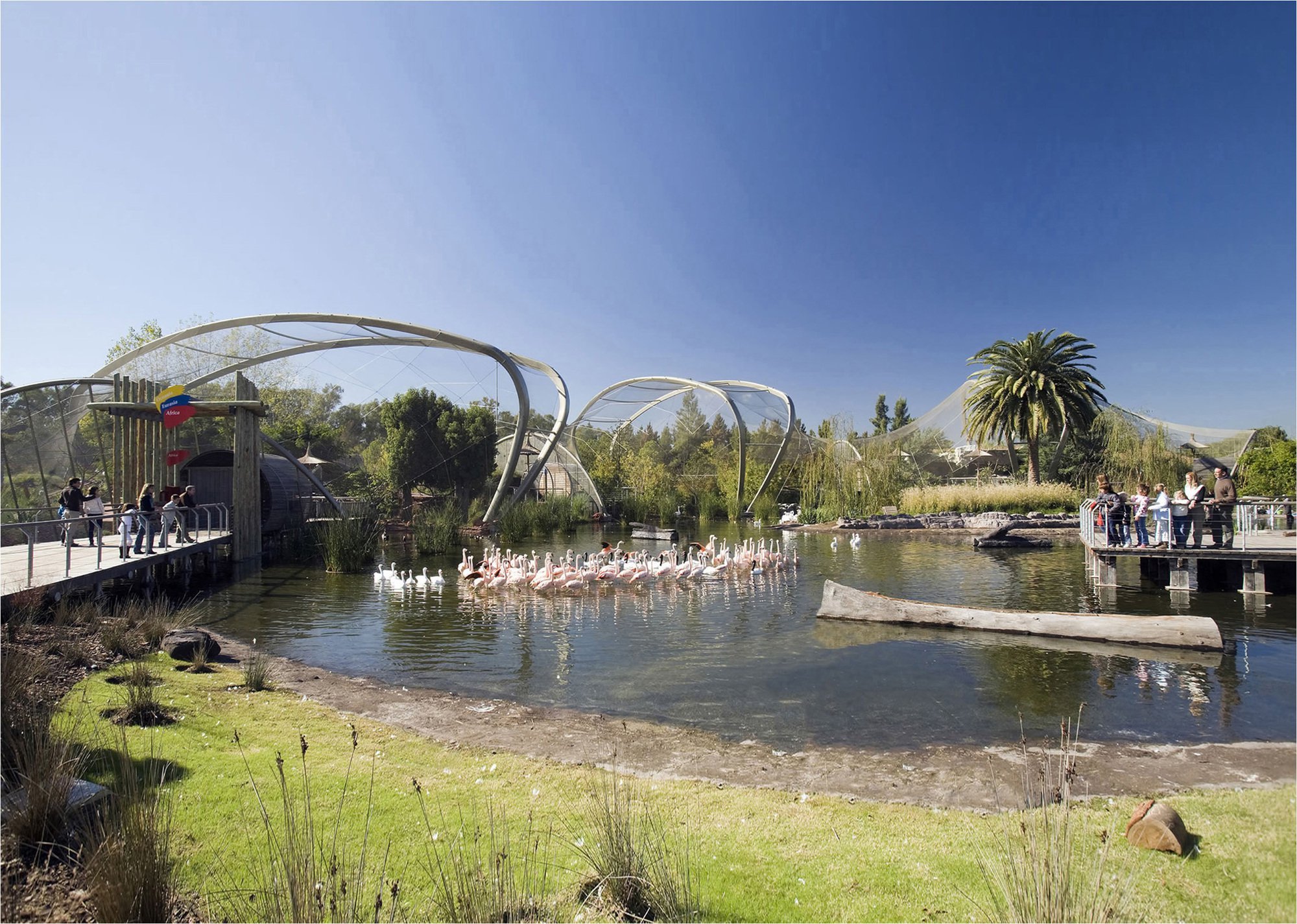 Galería de Lugar de las Aves - Bioparque Temaikén / Hampton+Rivoira ...