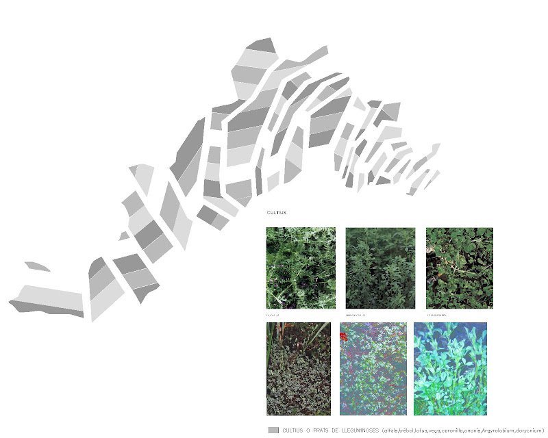 Galería de En Detalle: Restauración Paisajística del Vertedero de ...