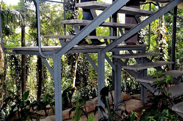 Galería de Clásicos de Arquitectura: Casa de Vidrio / Lina Bo Bardi - 25