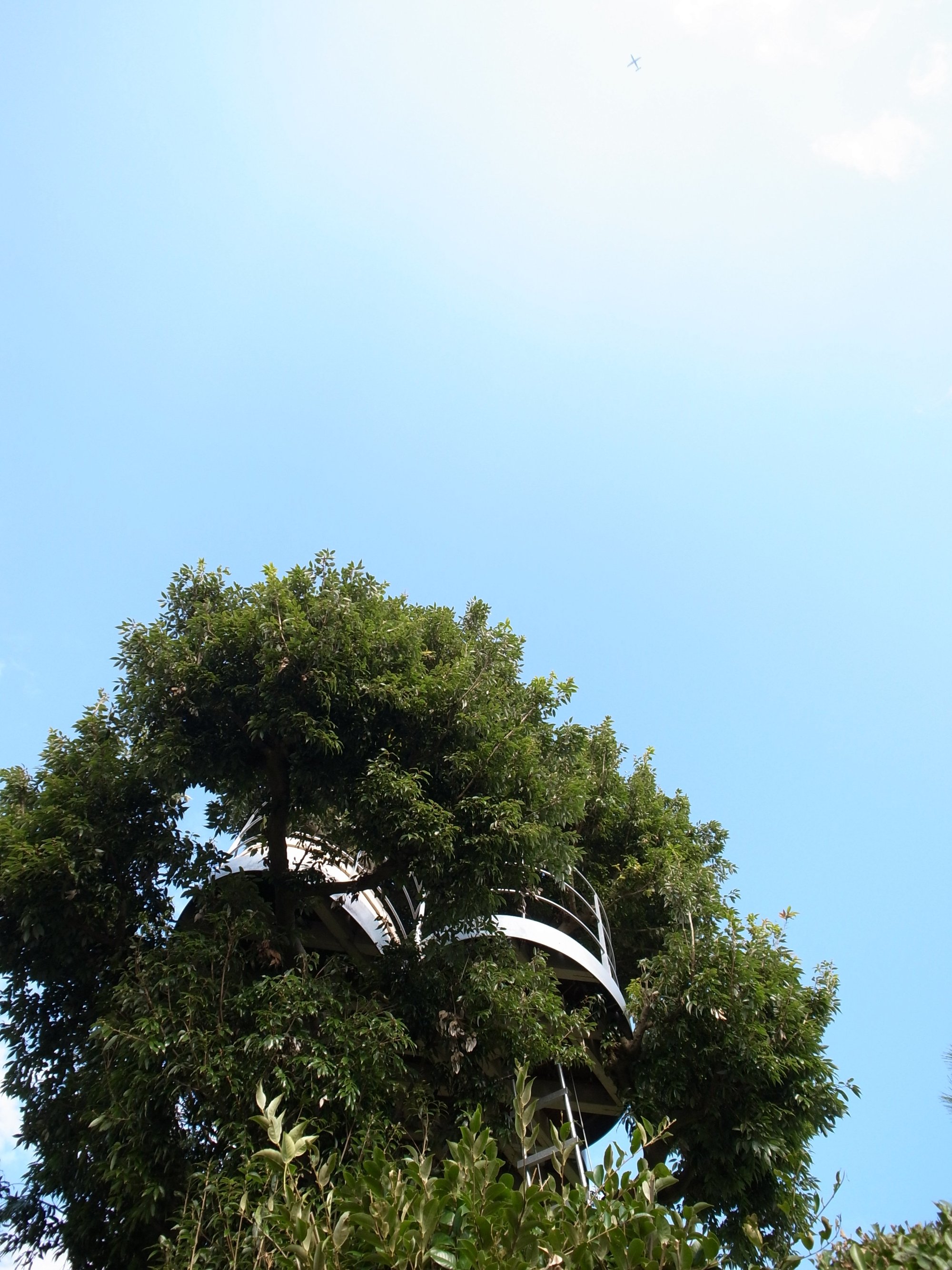 Gallery of 'Cloud' Structure / SABAOARCH - 6