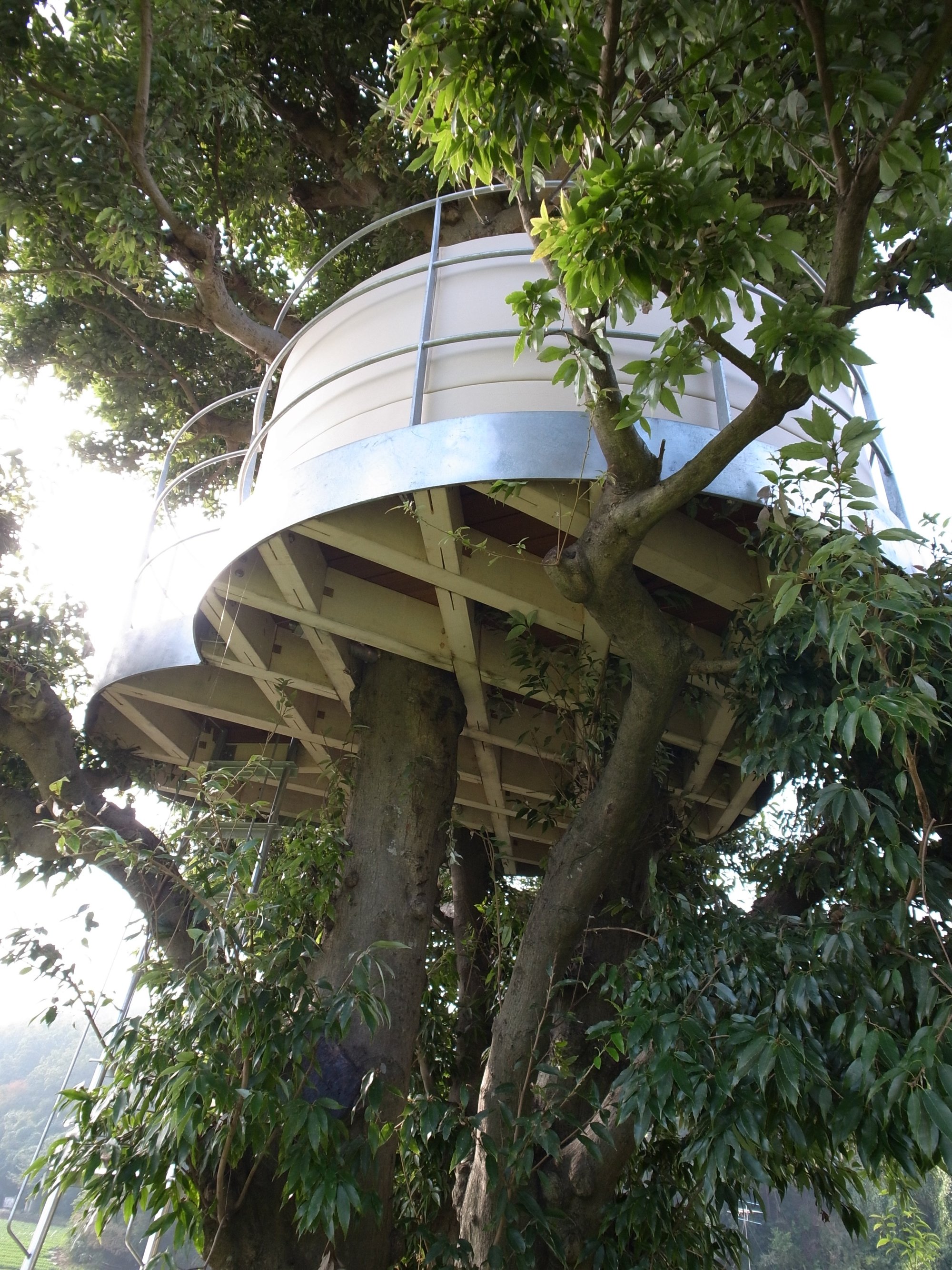 Gallery of 'Cloud' Structure / SABAOARCH - 3