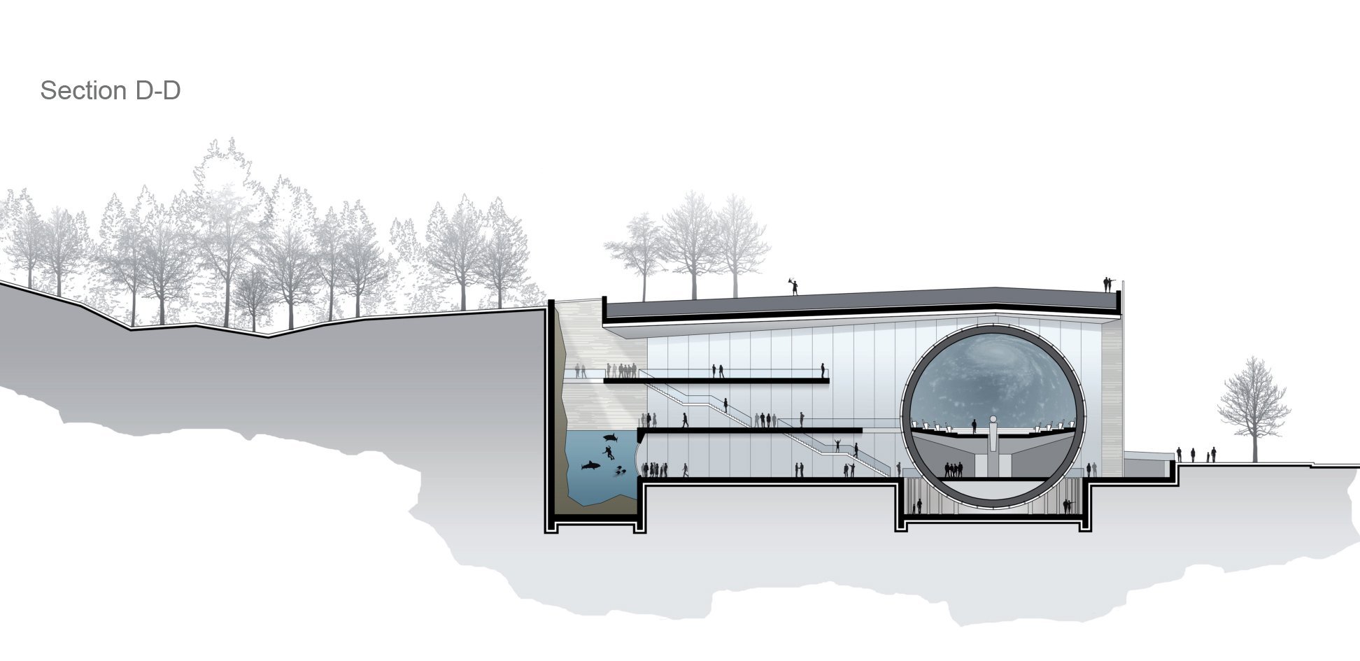 Gallery of Jerusalem Museum of Nature & Science Second Prize Winning ...