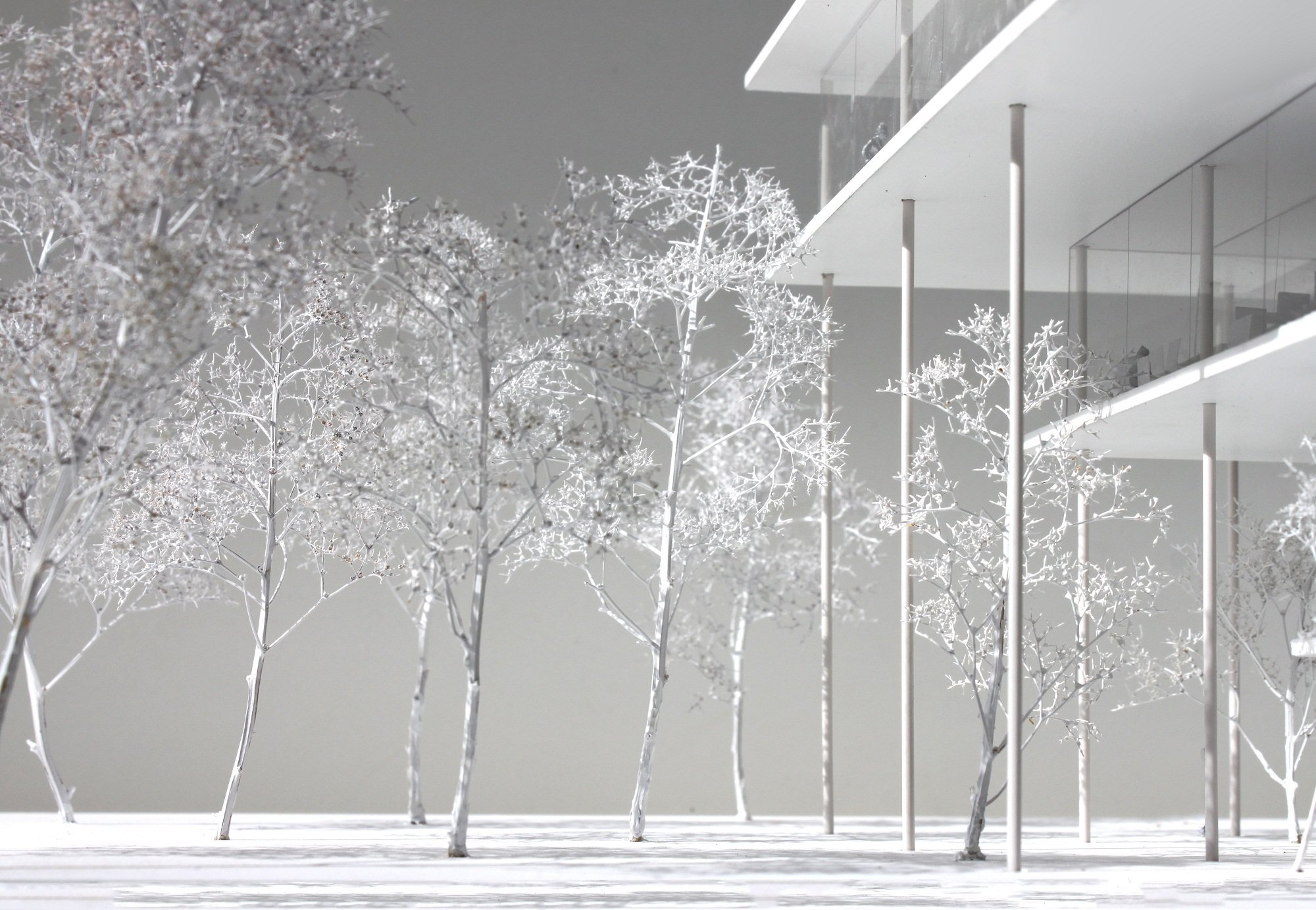 Gallery of Between Books and Trees / JAJA - 7