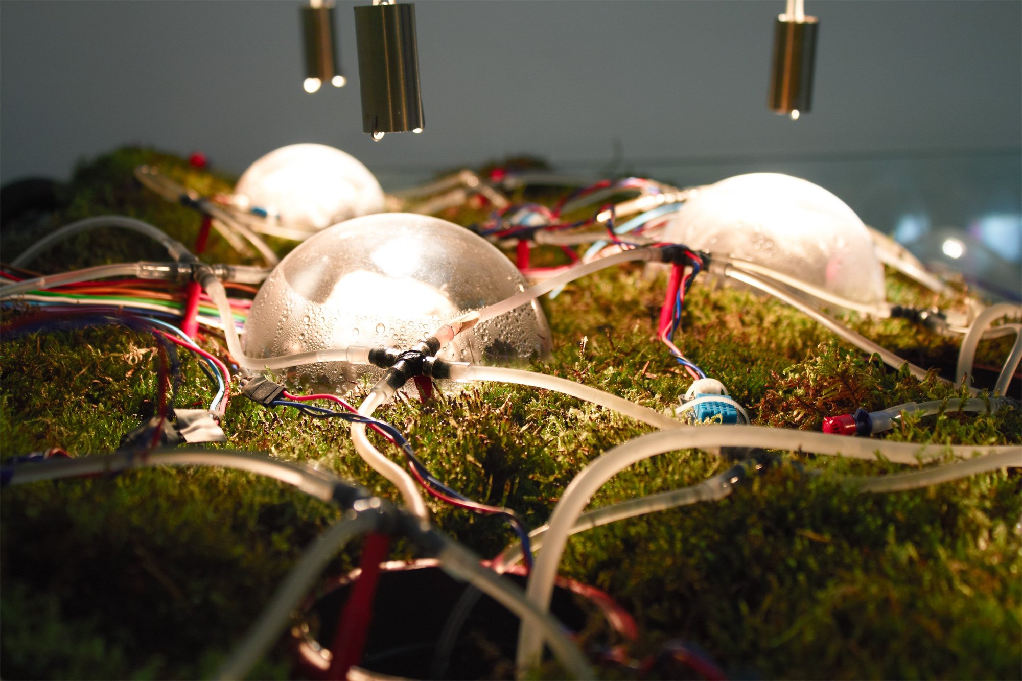 Gallery of 'Networking Nature' Installation / Studiomobile - 3