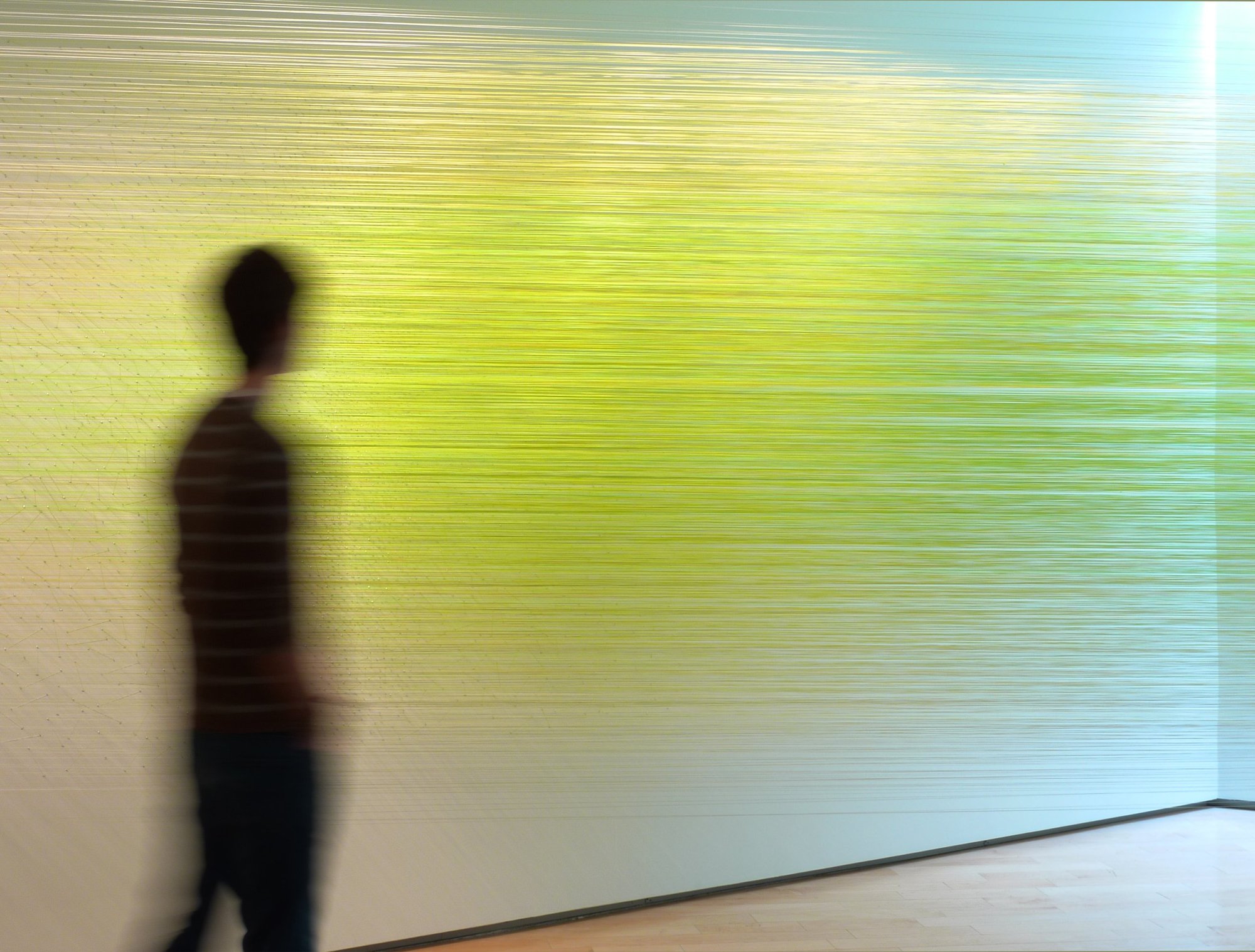 Gallery of Anne Lindberg Transforming Space with Thread - 17