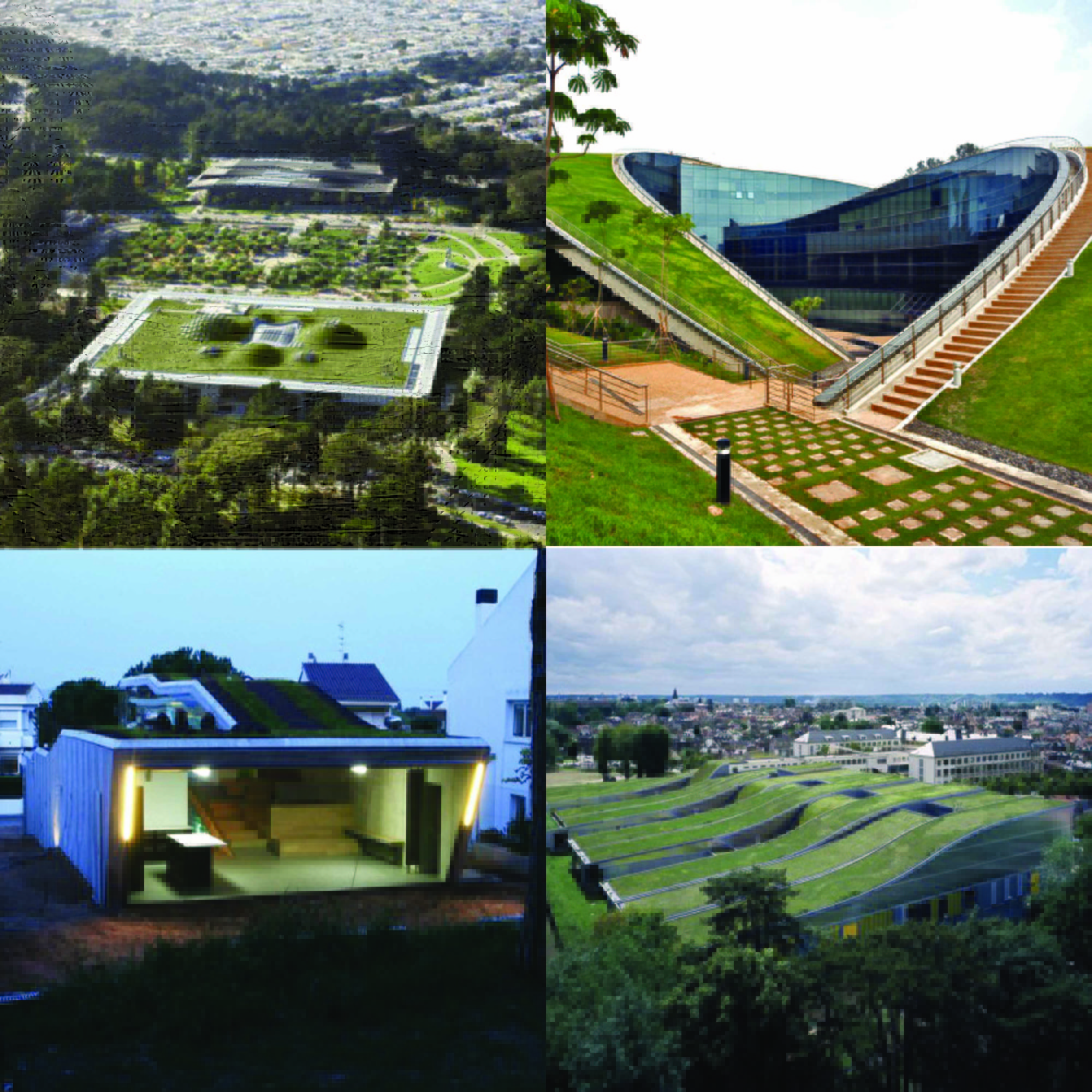 Gallery of Green Roofs - 19