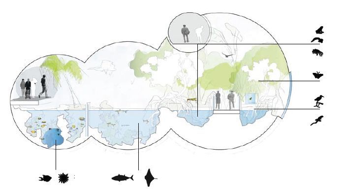 Gallery of Zoo Basel Ozeanium 2nd Prize Winning Proposal / HHF ...