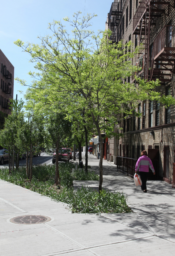 Gallery of A Lesson in Dedicated Collaboration: Hunts Point Landing on ...