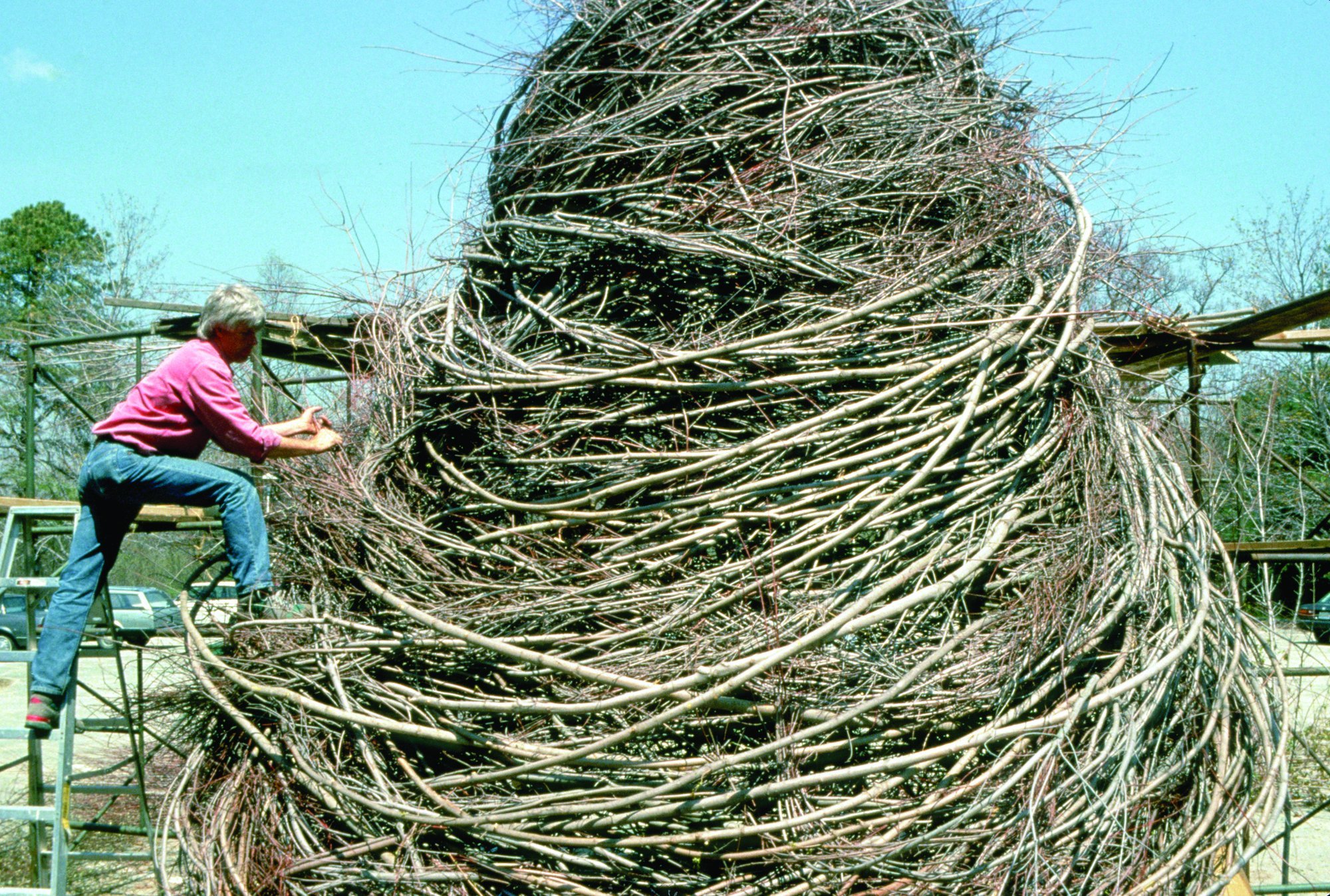 Gallery of Stickwork / Patrick Dougherty - 2