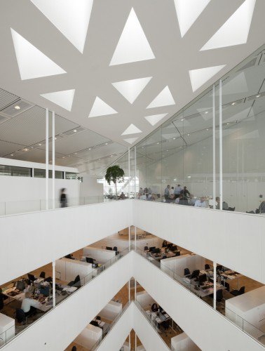 Caring for Your Office Introvert | ArchDaily