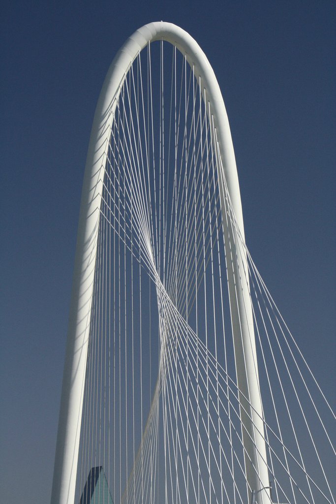 Gallery of Thousands celebrate Santiago Calatrava's new Dallas Bridge - 4
