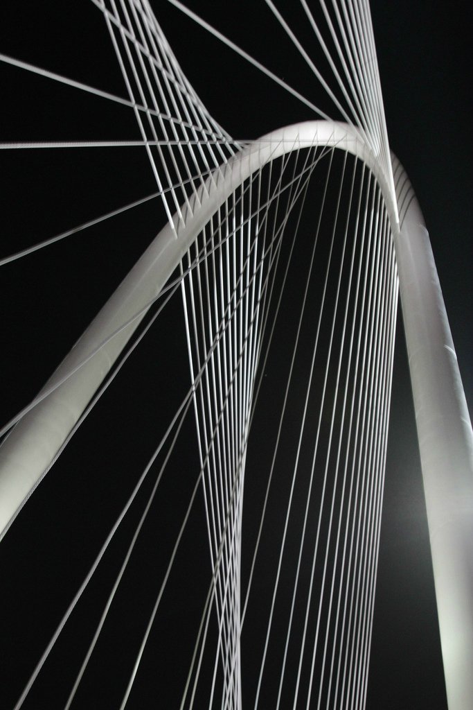 Gallery of Thousands celebrate Santiago Calatrava's new Dallas Bridge - 3