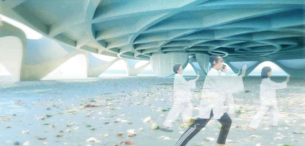 Gallery of Final Design Proposals for the St. Petersburg Pier Design ...