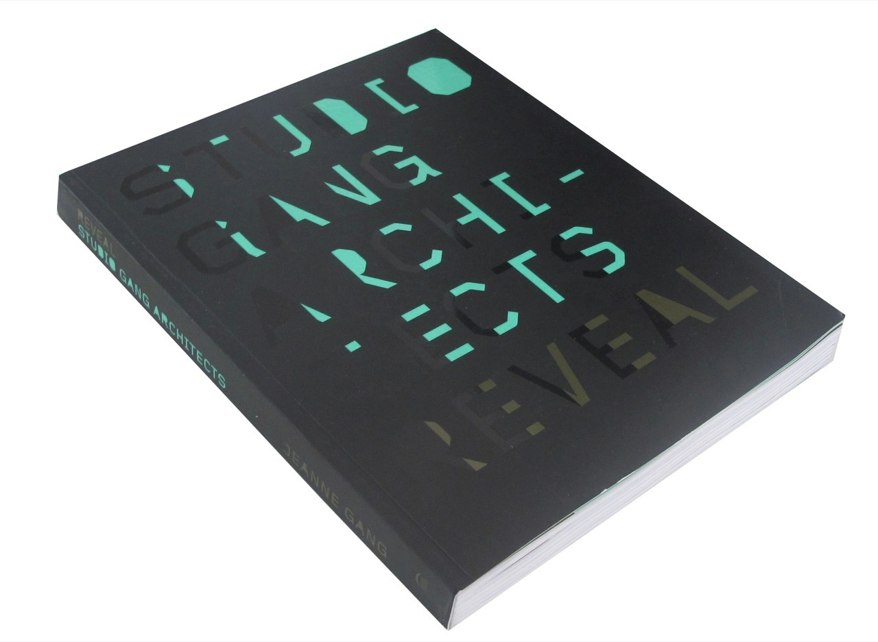 Gallery of Reveal: Studio Gang Architects / Jeanne Gang - 8