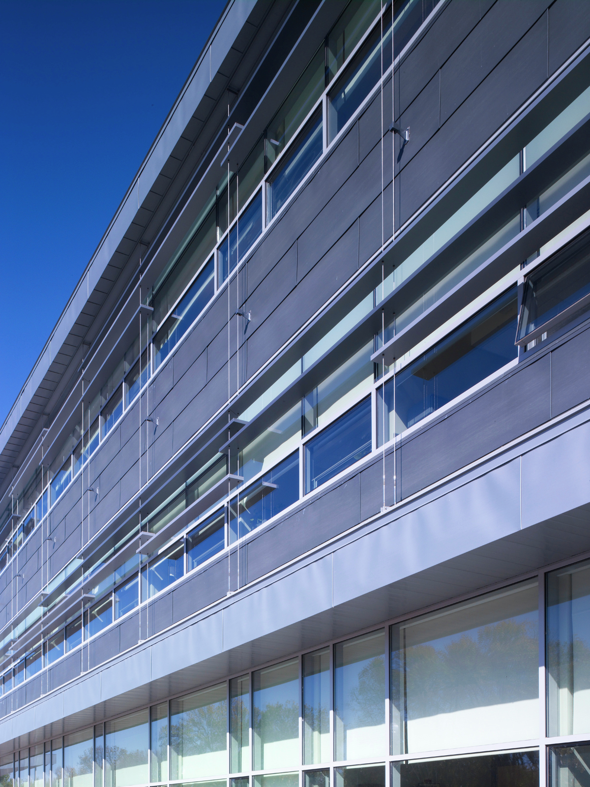 Gallery of Beacom School of Business / Charles Rose Architects - 3