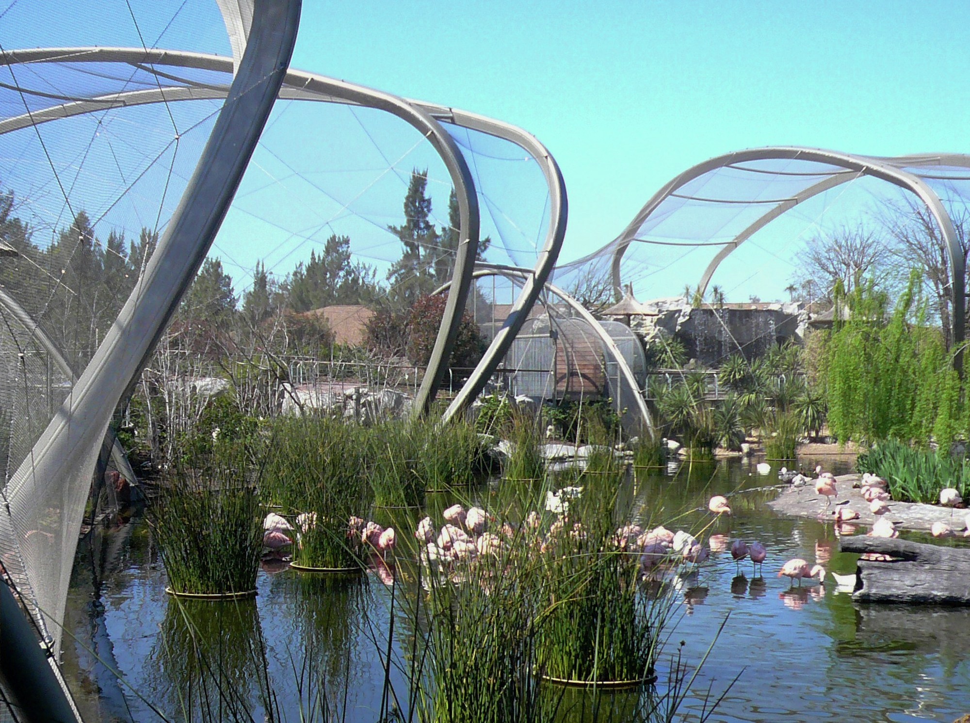 Gallery of Aviary, Bioparque Temaikén / Hampton+Rivoira+Arquitectos - 1