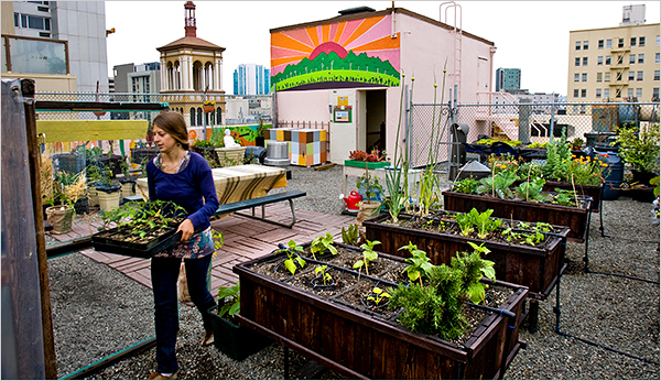 Gallery of Urban Agriculture Part II: Designing Out the Distance - 6