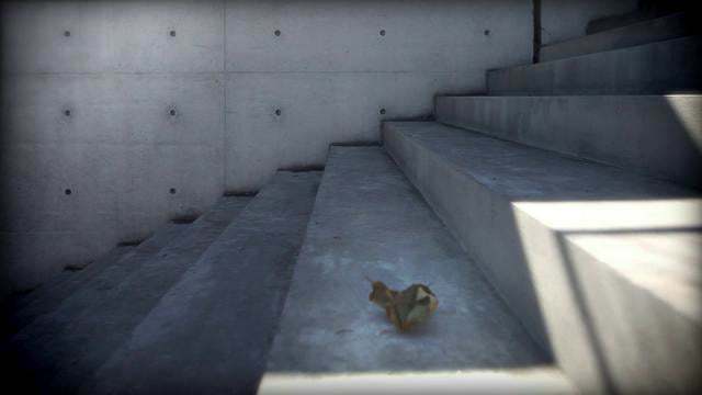 Luce/Light by Studio-due | ArchDaily