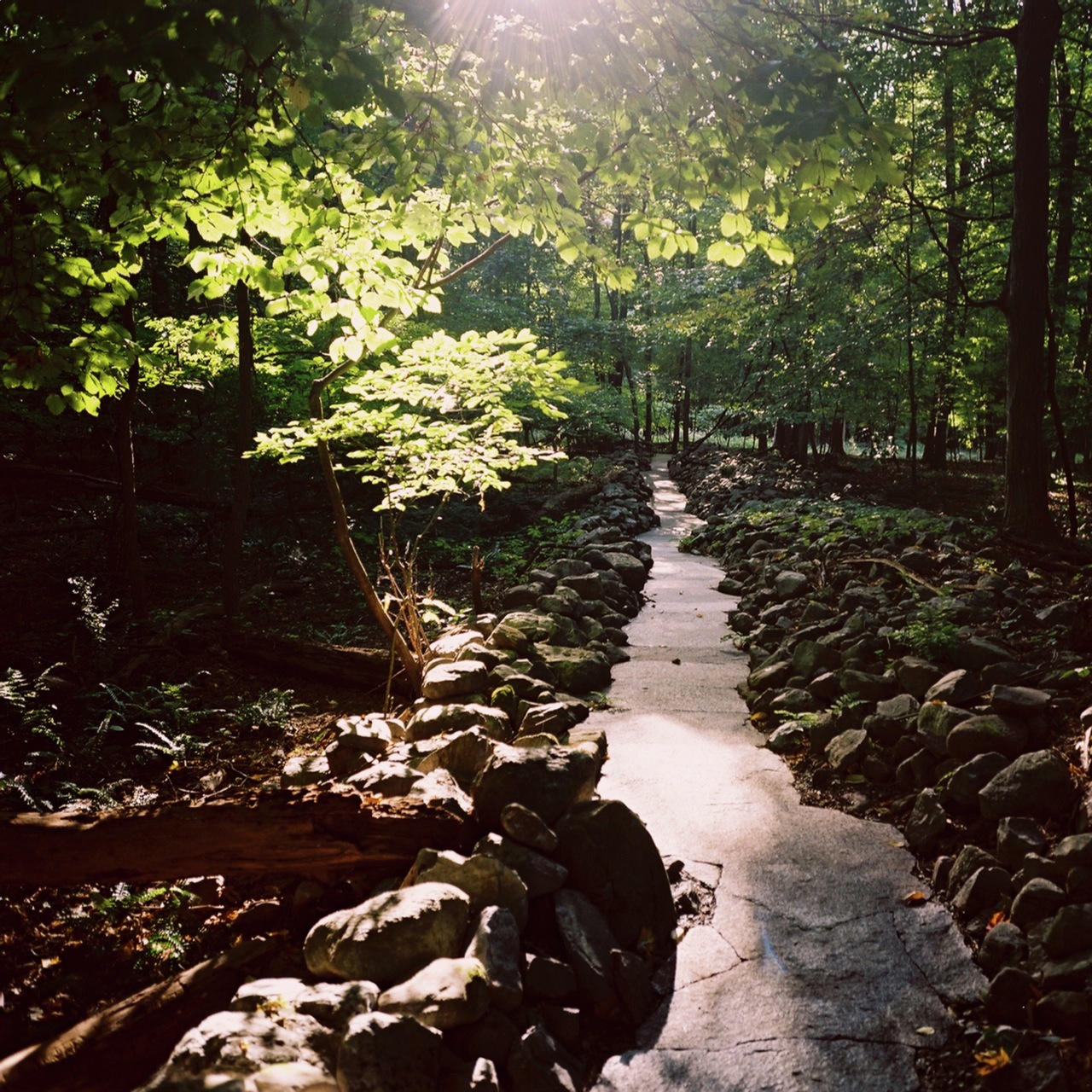 Gallery of Stone River / Jon Piasecki - 12